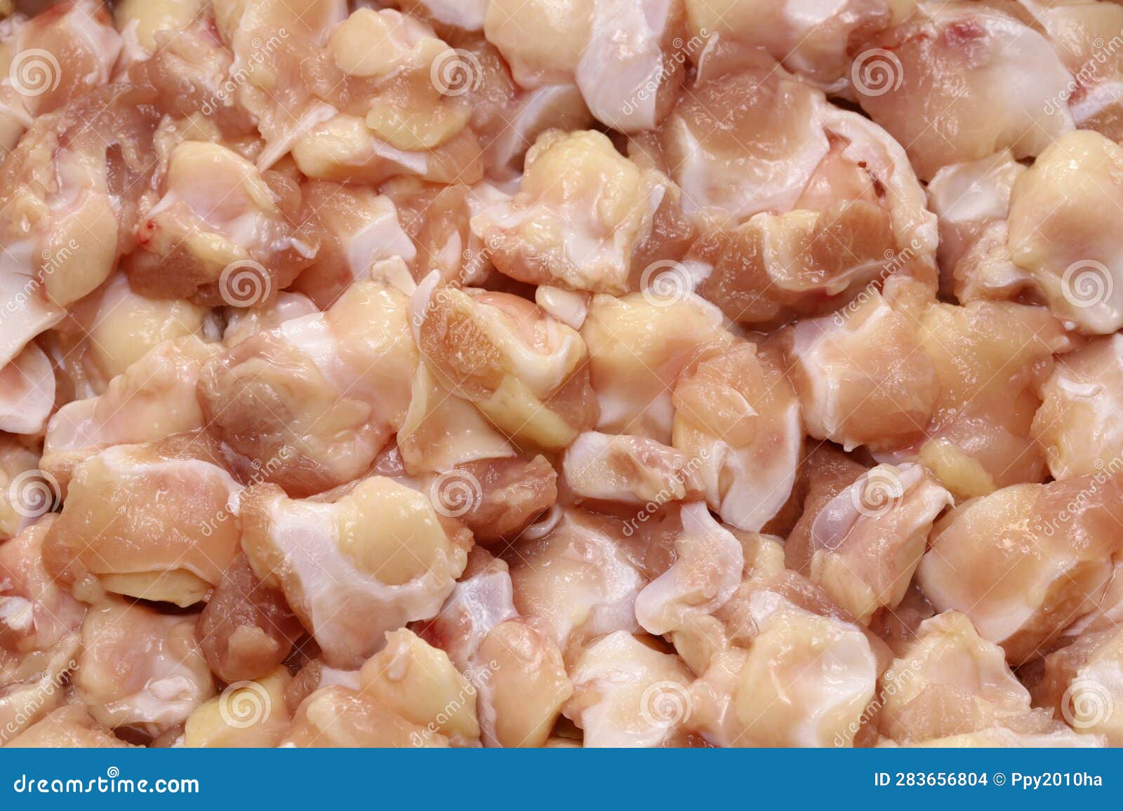 Raw chicken cartilage stock photo. Image of standard - 283656804