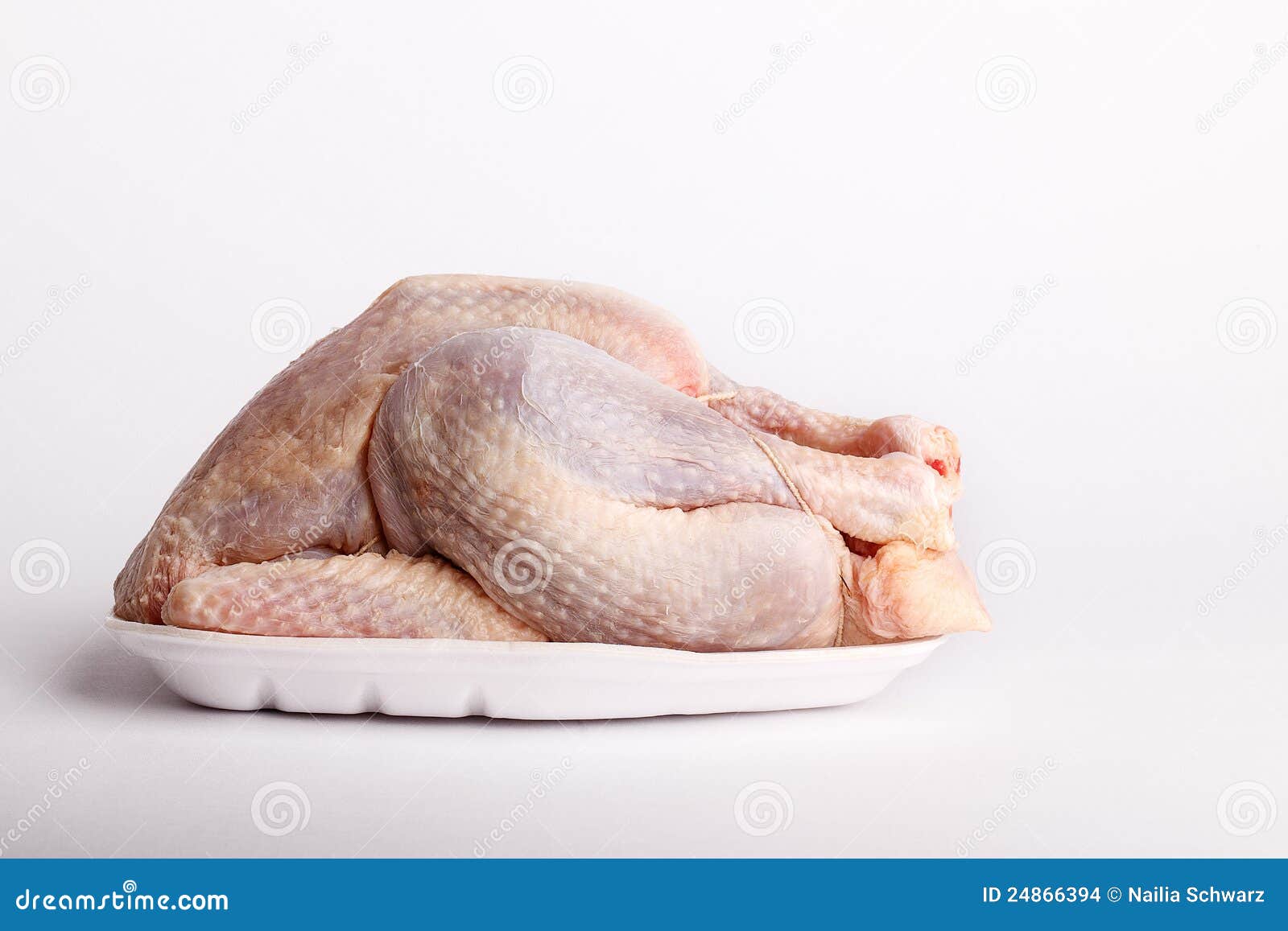 Raw chicken for cooking stock photo. Image of bred, plucked - 24866394