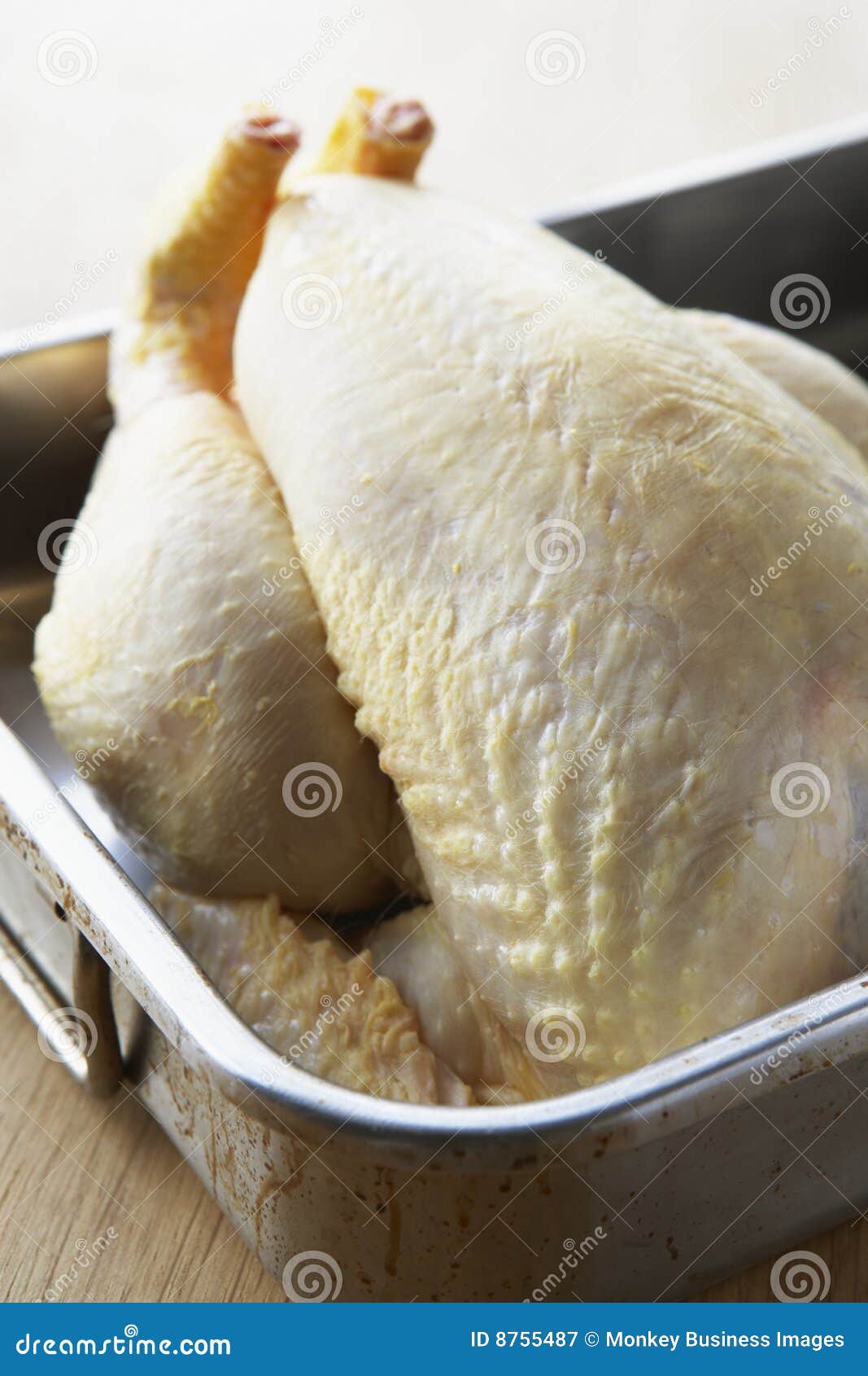 Raw Chicken in Cooking Dish Stock Image - Image of meat, selective: 8755487