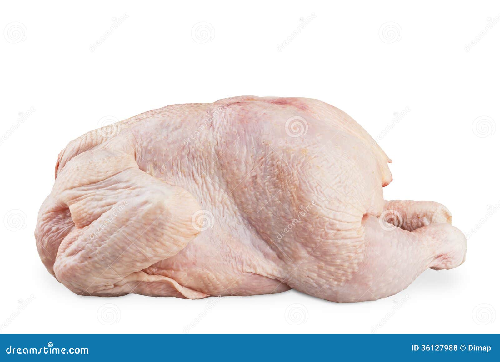 Raw chicken stock photo. Image of cooking, closeup, animal - 36127988