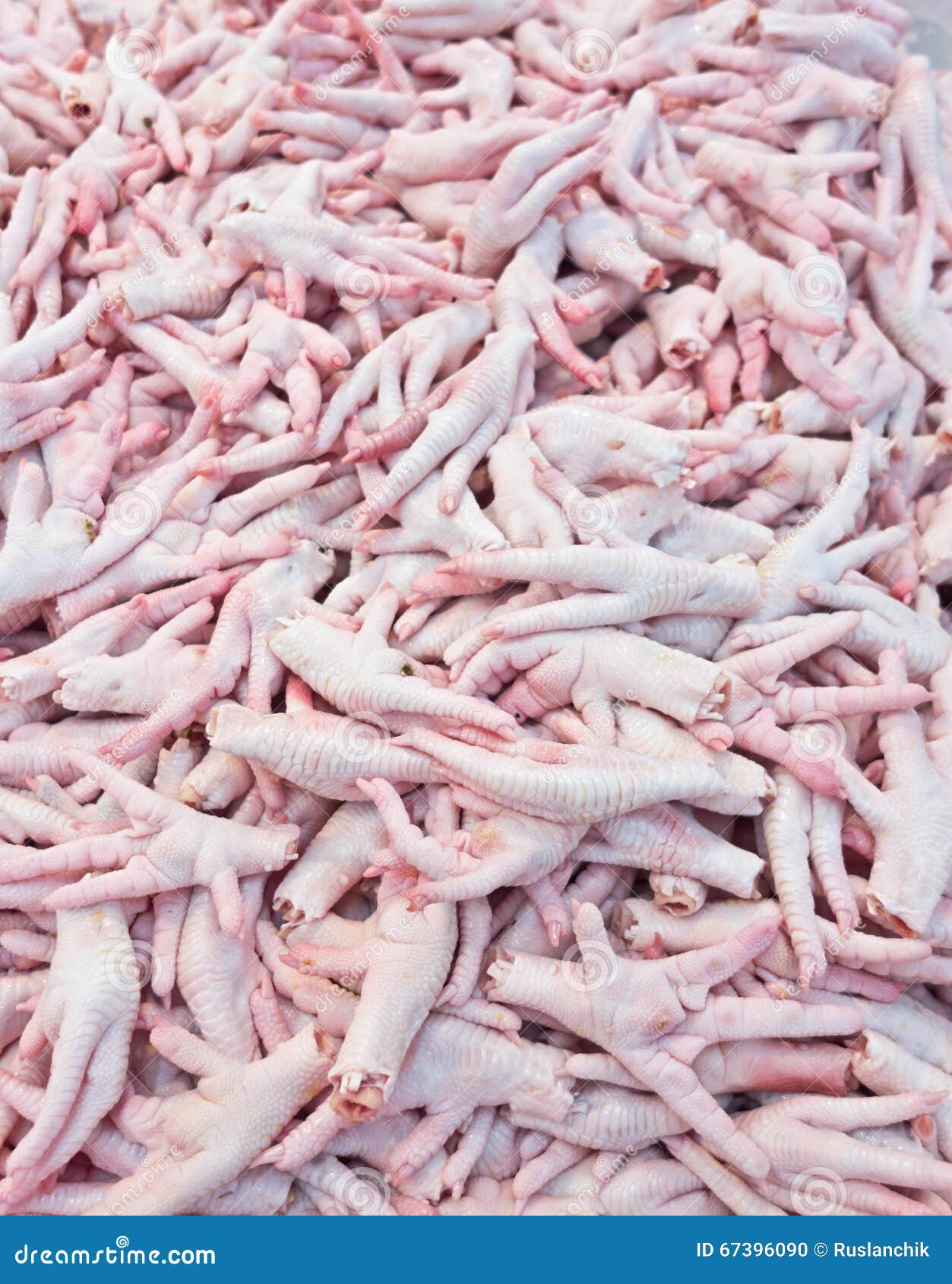 Raw chicken feet stock photo. Image of food, oriental - 67396090