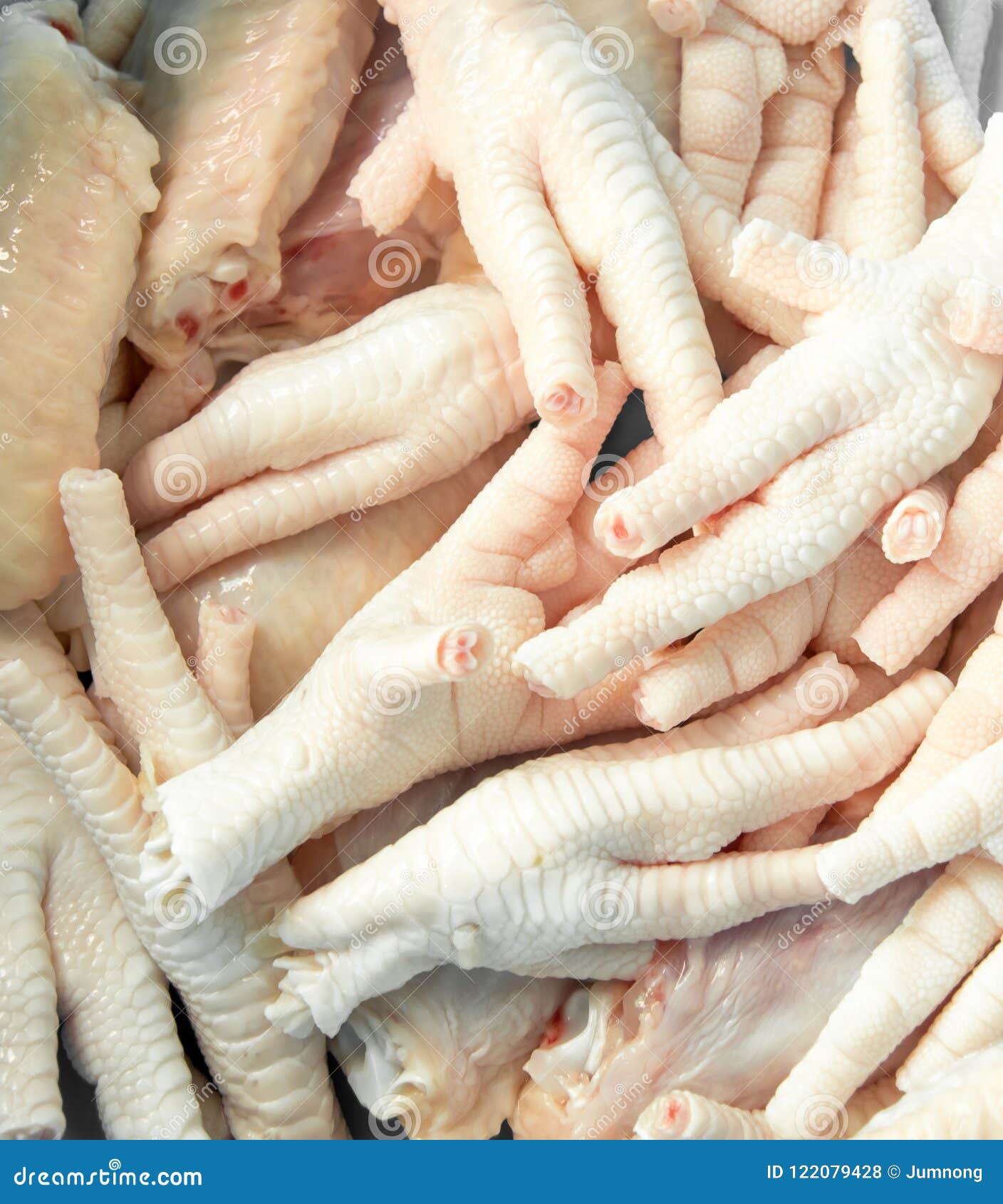 Raw Chicken Feet for Cooking Stock Photo - Image of cooking, foot ...