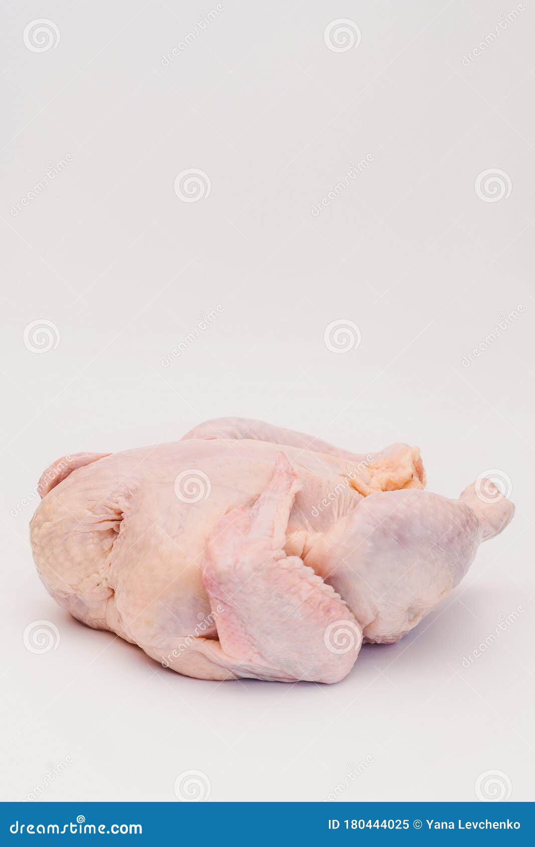 Uncooked Chicken. Big and Thick. Rests on the Back Stock Image - Image ...