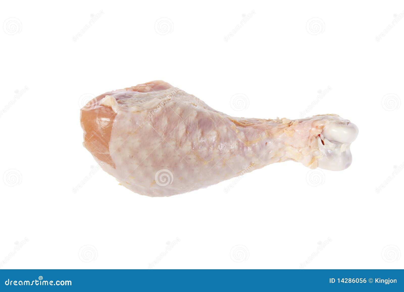 Raw chicken leg stock photo. Image of chicken, isolated - 14286056