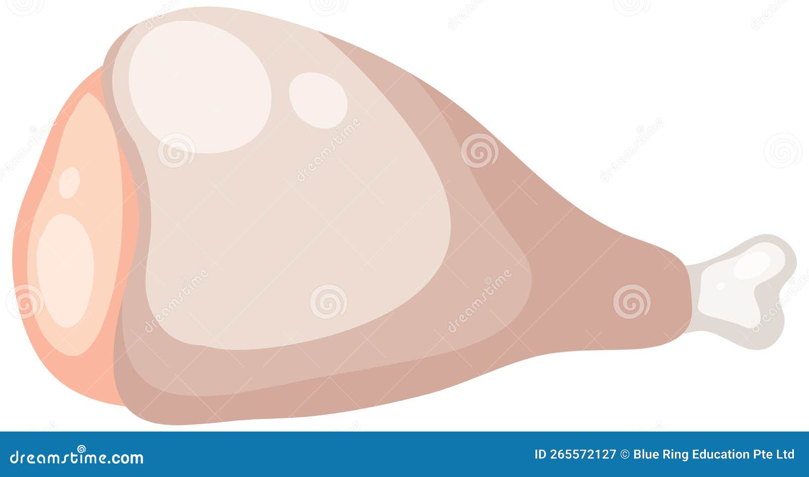 Raw chicken leg vector stock vector. Illustration of design - 265572127