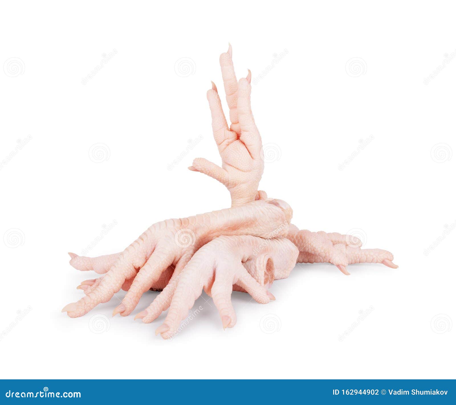 Raw Chicken Paws on White Background Stock Photo - Image of portion ...