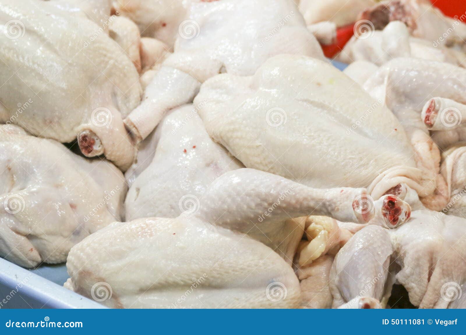 Raw chicken stock image. Image of food, nature, closeup - 50111081