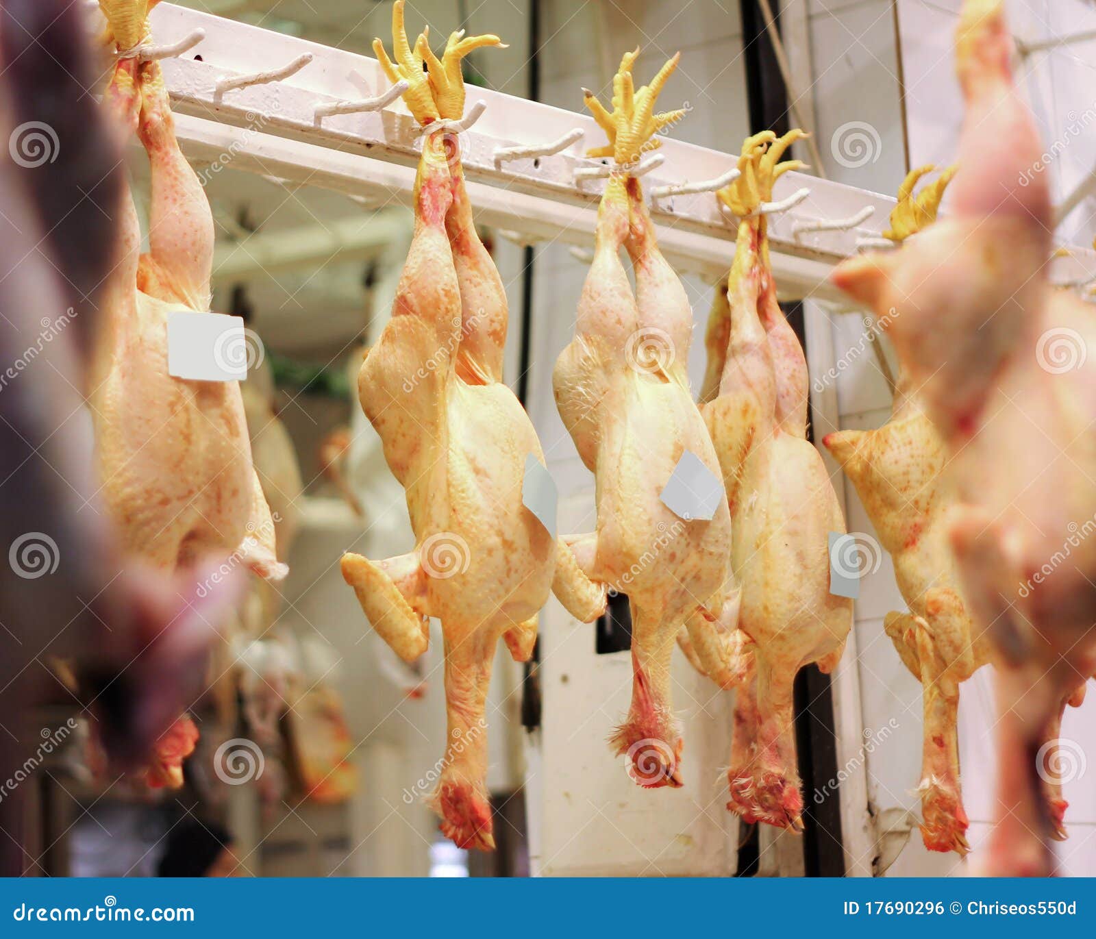 Raw chicken processing stock photo. Image of hooks, factory - 17690296