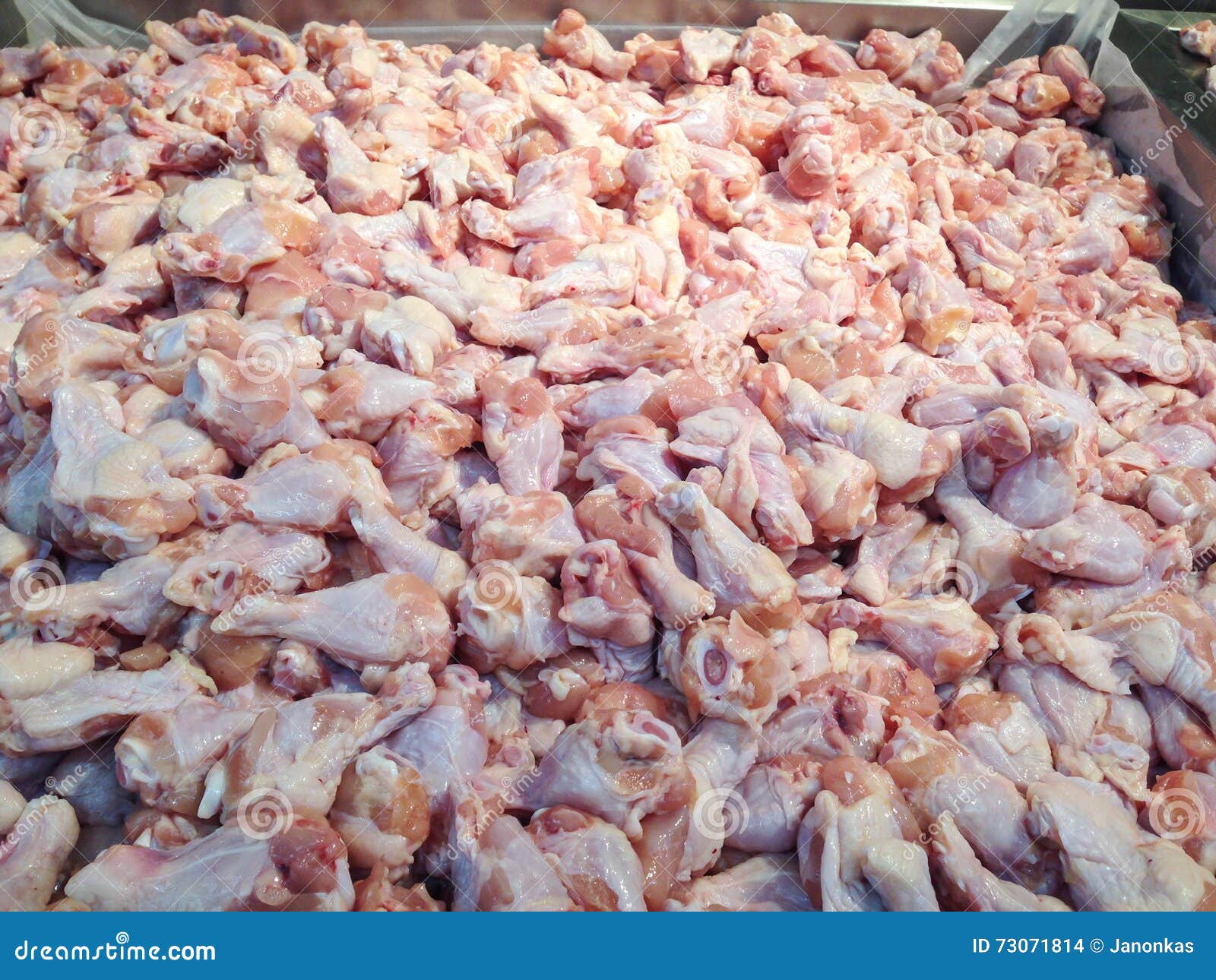 Raw chicken in retailer stock photo. Image of grocery - 73071814