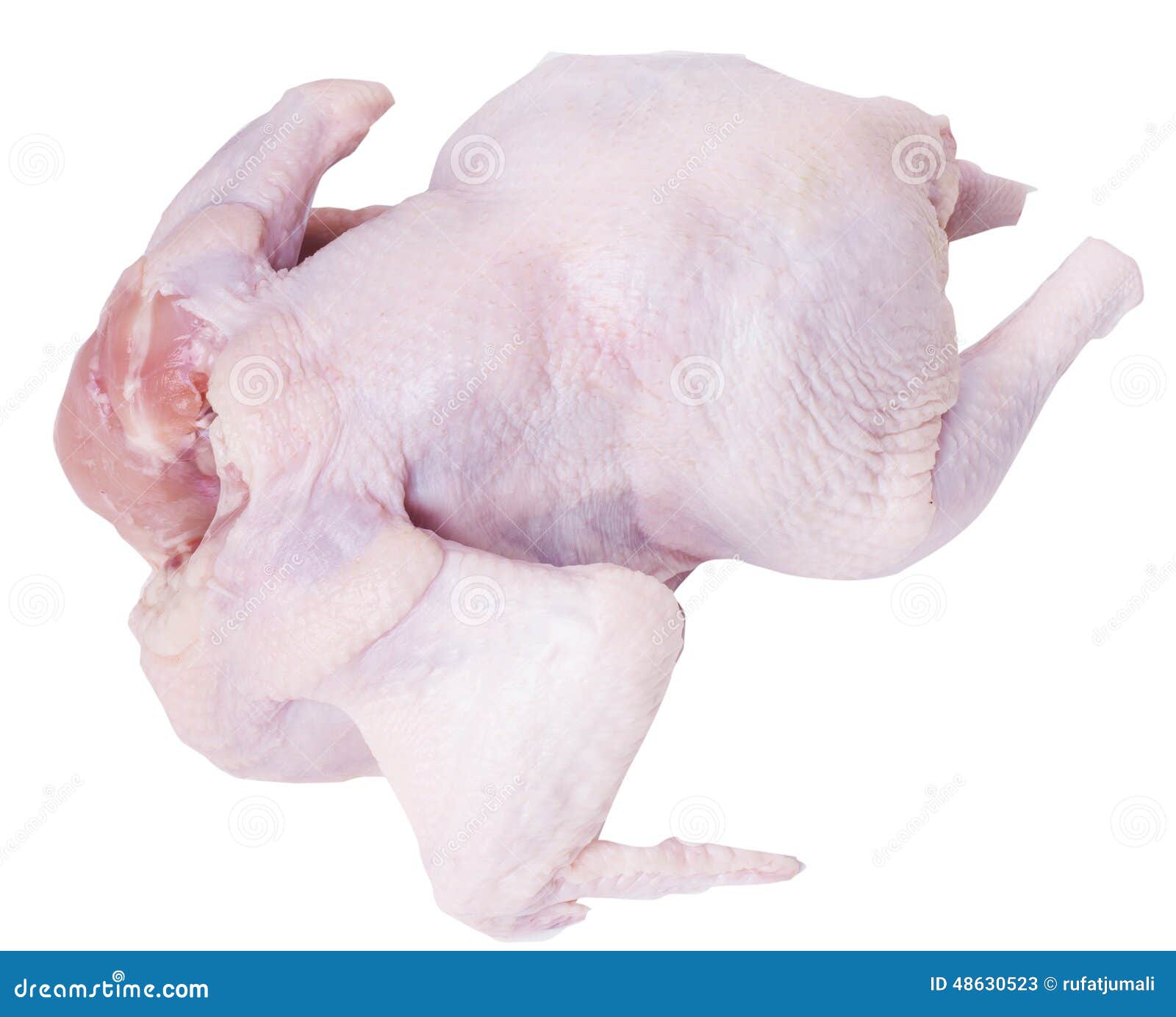 Raw chicken stock image. Image of happy, close, kitchen - 48630523