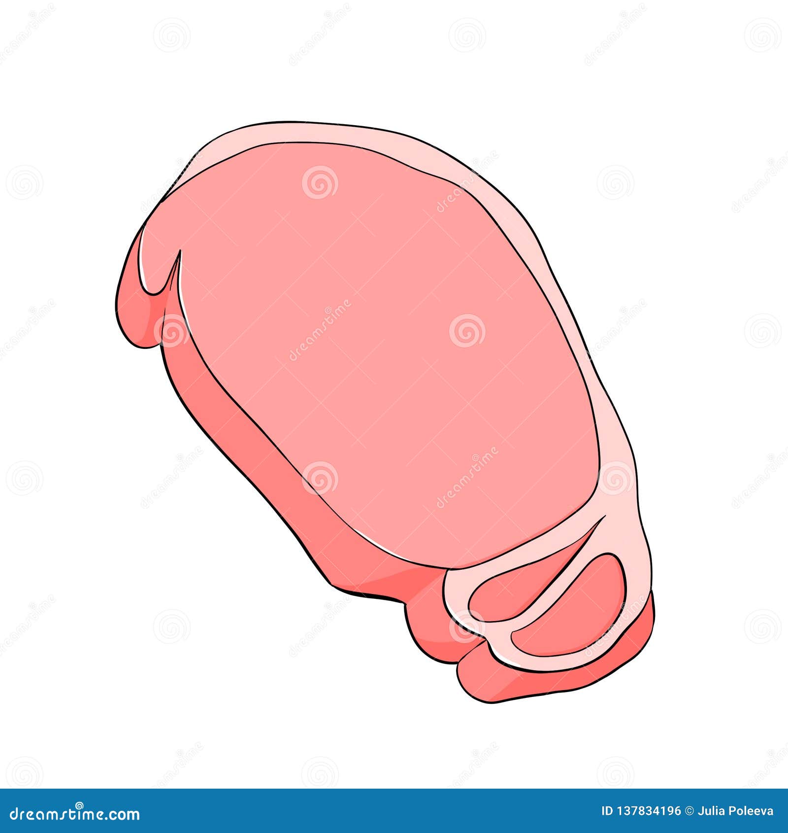 Raw Chop. Hand Drawn Illustration Isolated on White Background Stock ...