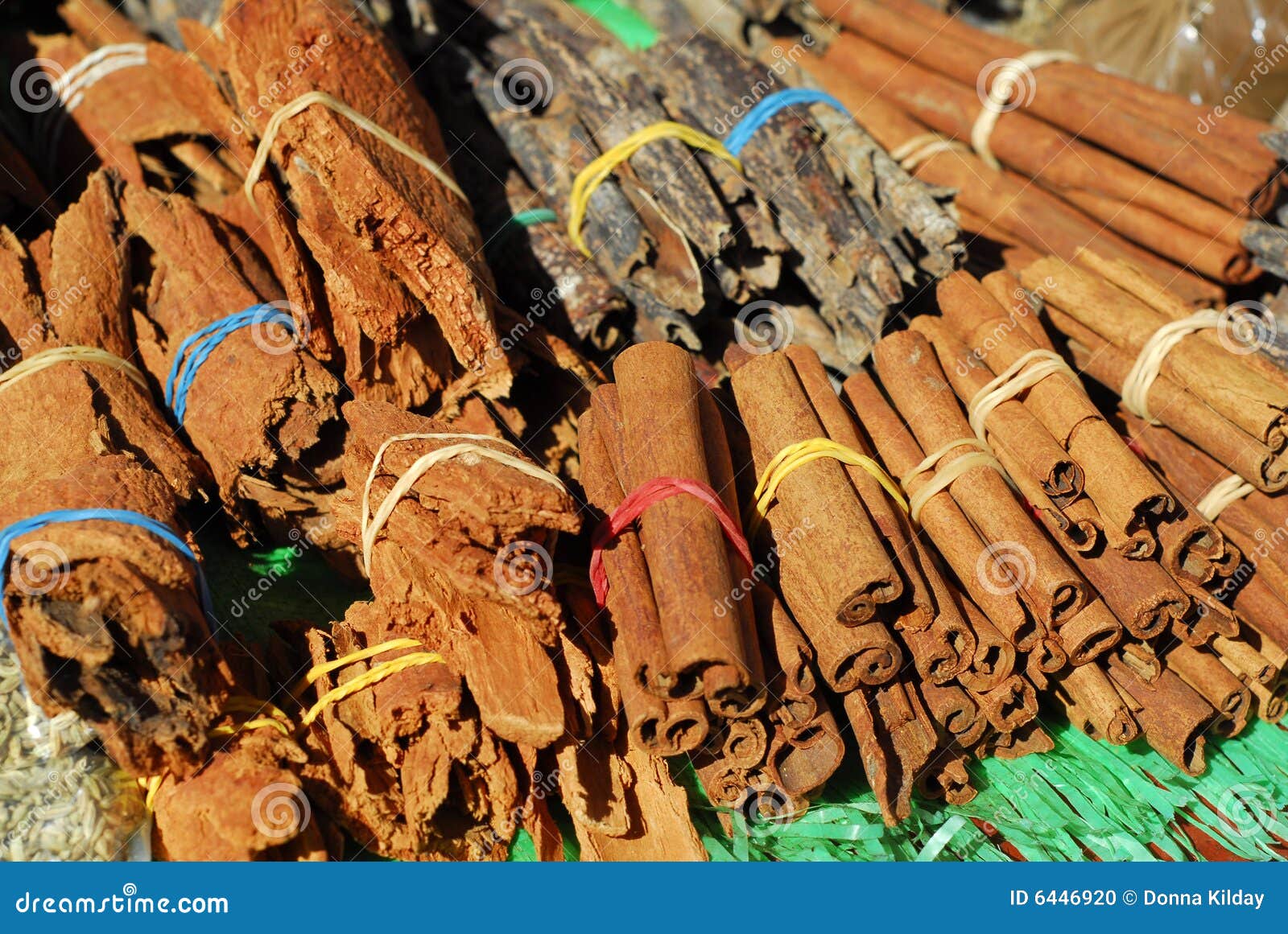 Raw Cinnamon stock photo. Image of green, bands, bark - 6446920