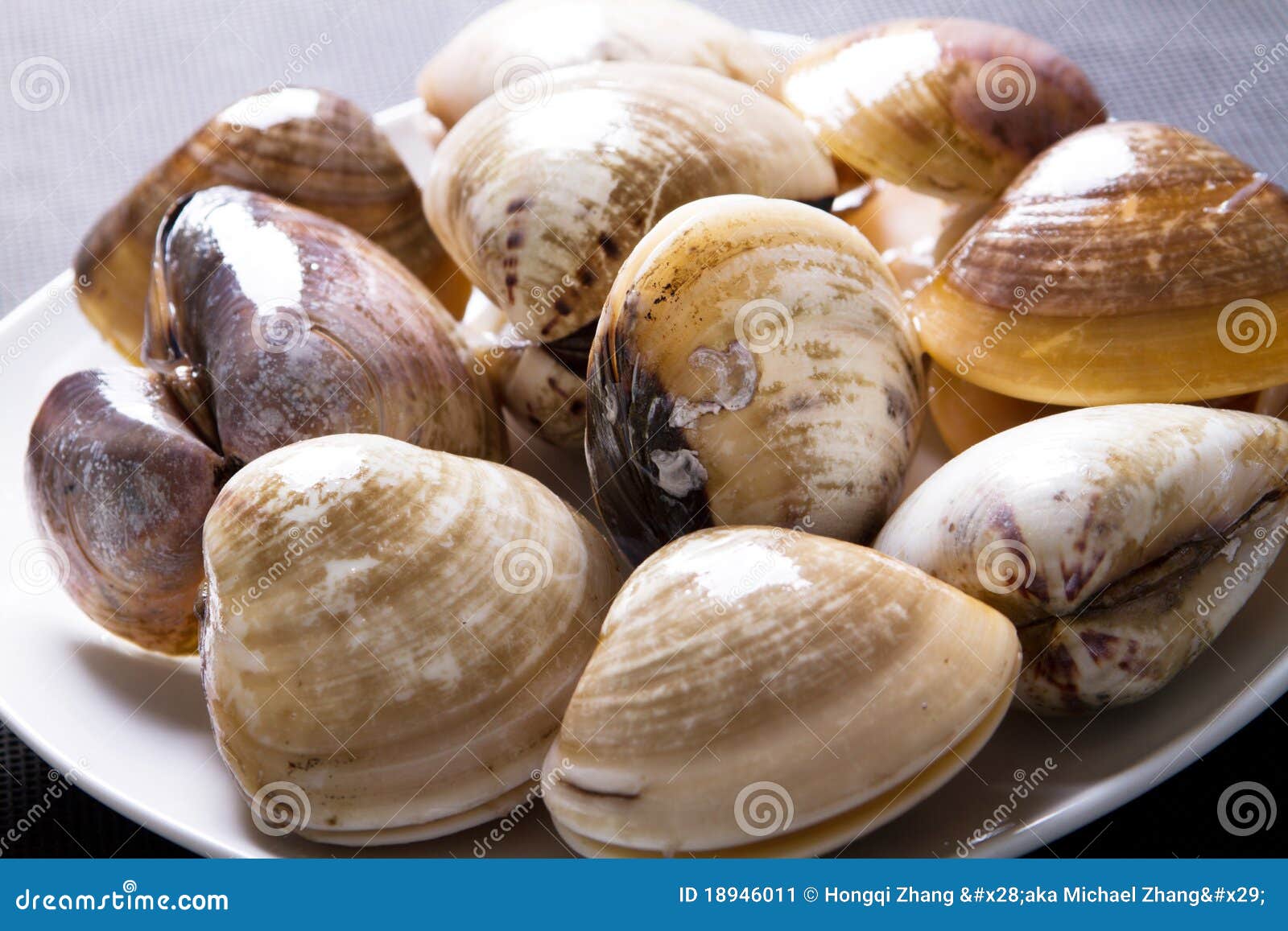 Raw clams stock image. Image of isolated, food, seafood - 18946011