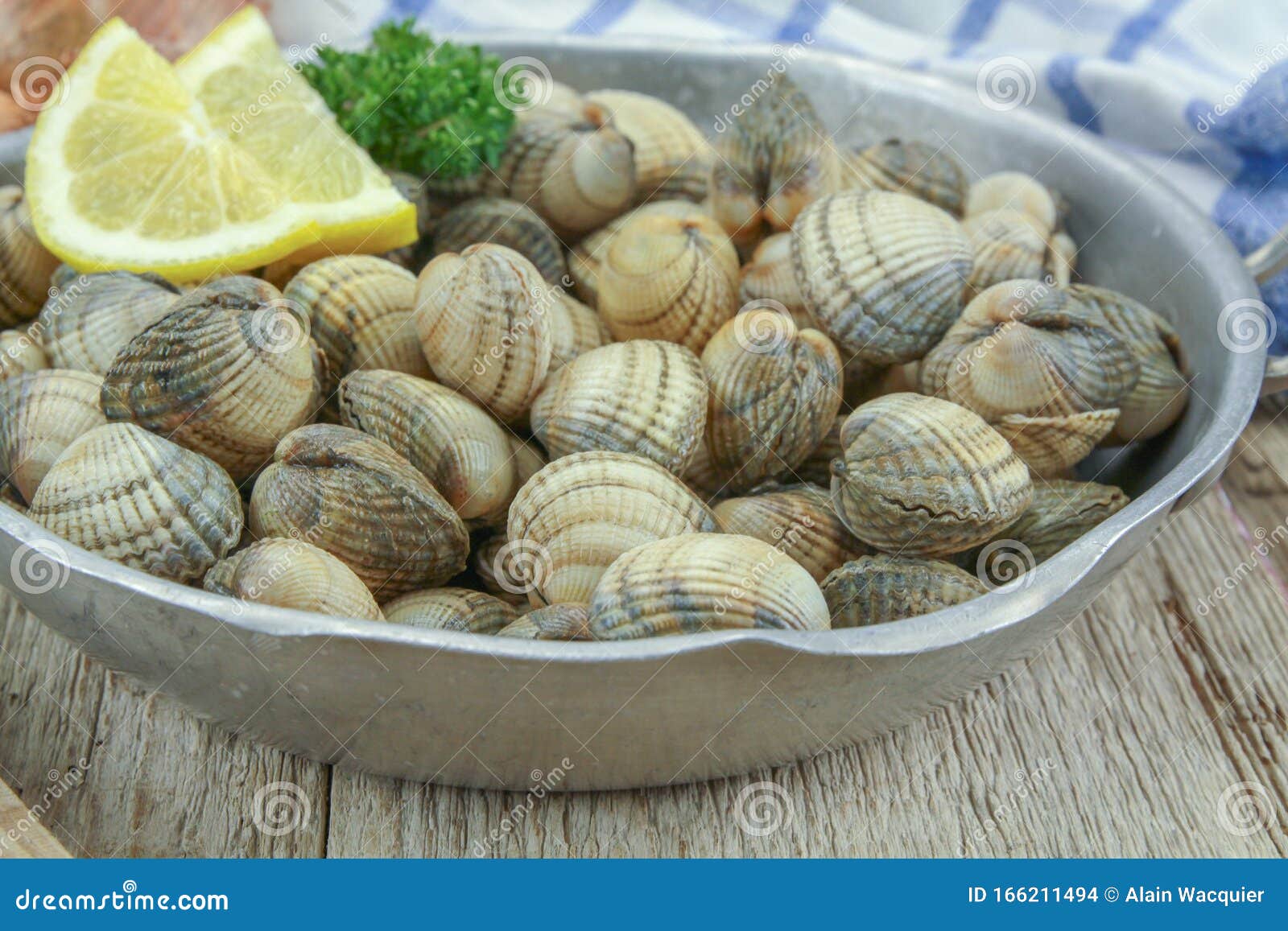 Raw cockles in a stock photo. Image of nutrition, life - 166211494