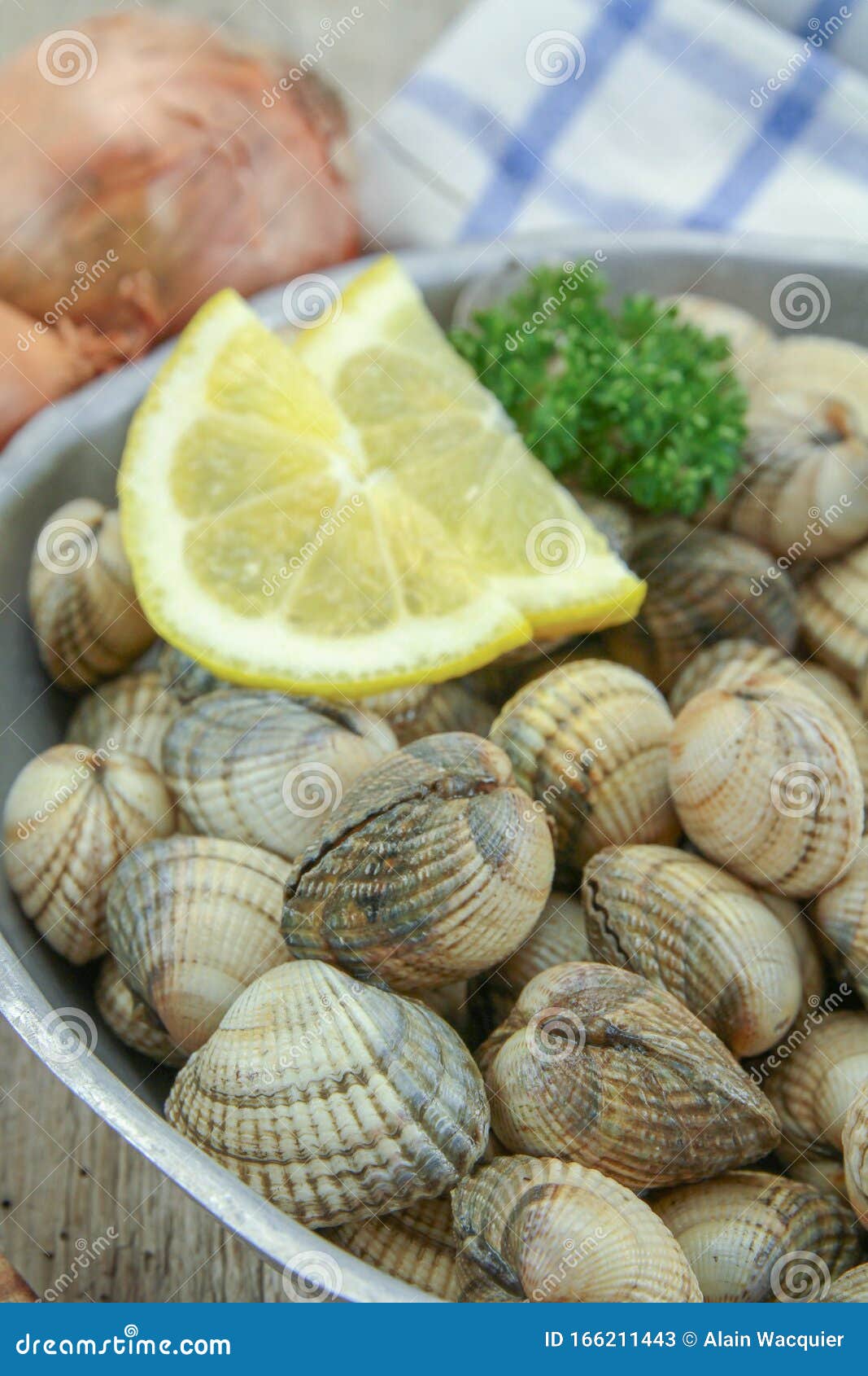 Raw cockles in a stock image. Image of meal, ocean, closeup - 166211443
