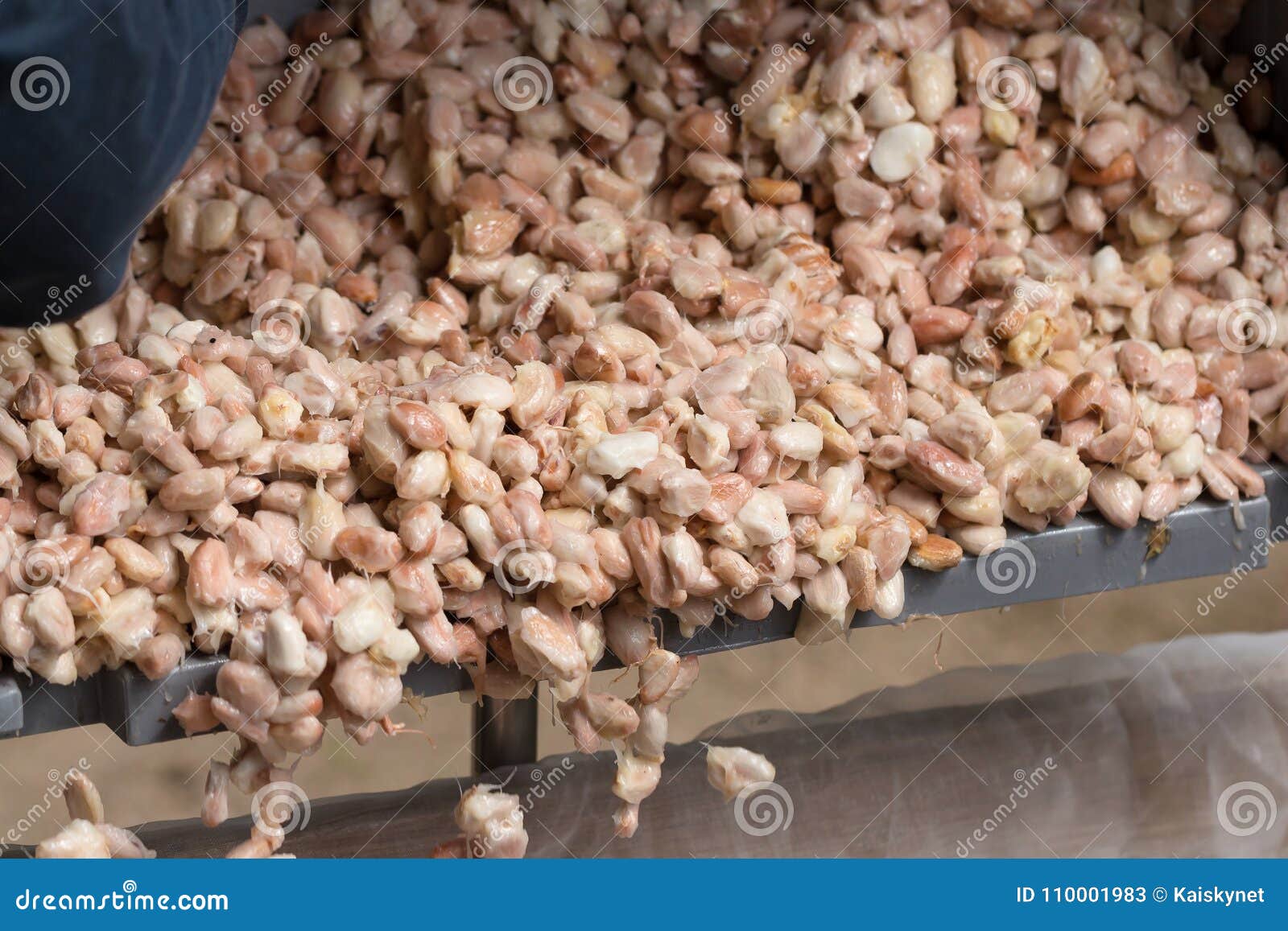 Raw Cocoa Beans, Fresh Cocoa Beans in Box Stock Image - Image of black ...