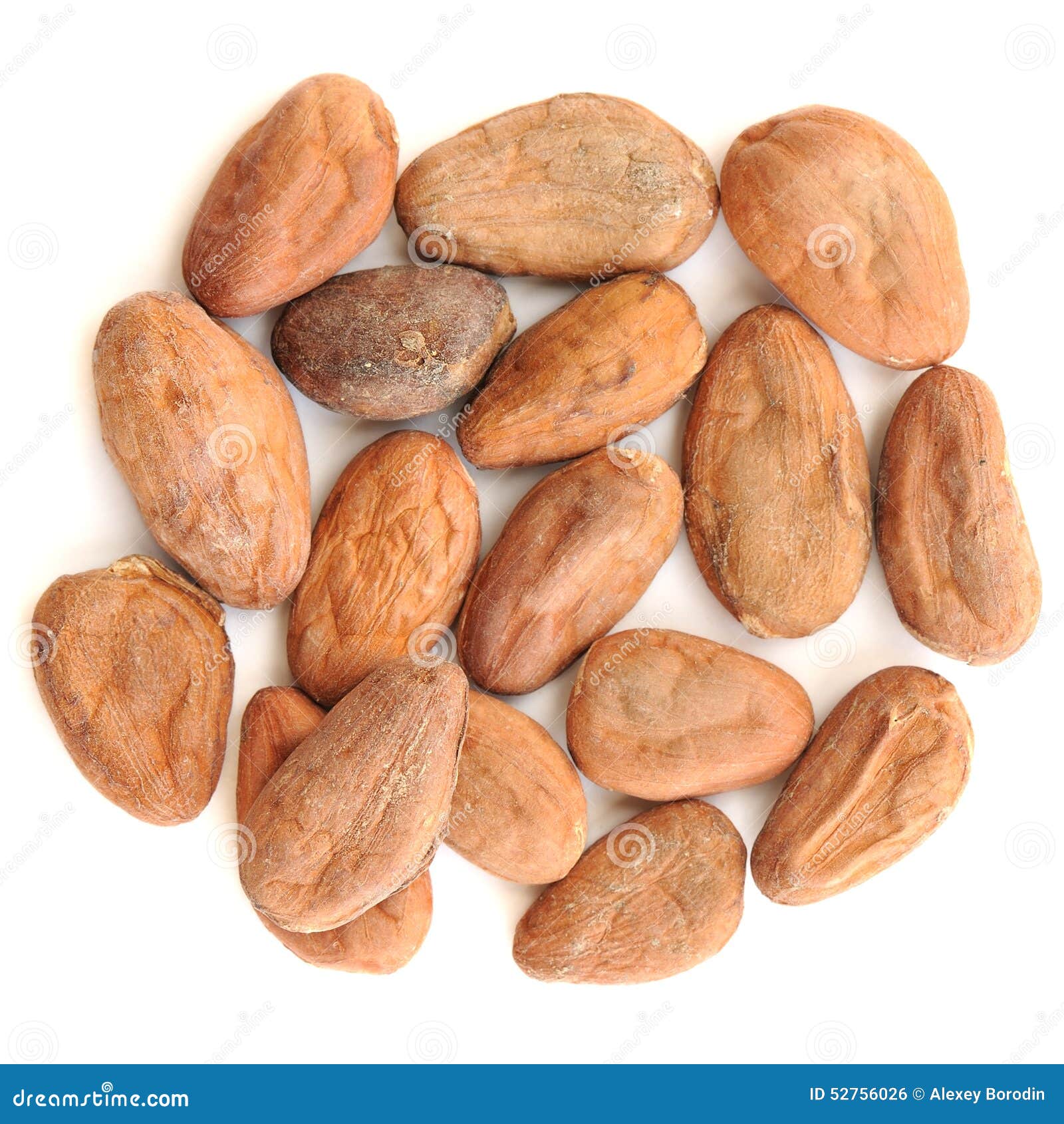 Raw Cocoa Beans in Round Shape Isolated Stock Photo - Image of organic ...
