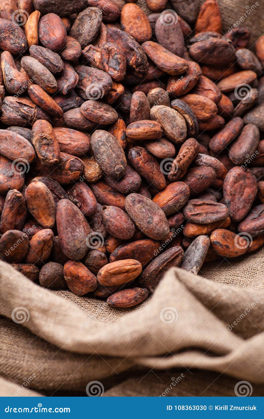 Raw cocoa beans in a sack stock photo. Image of gourmet - 108363030
