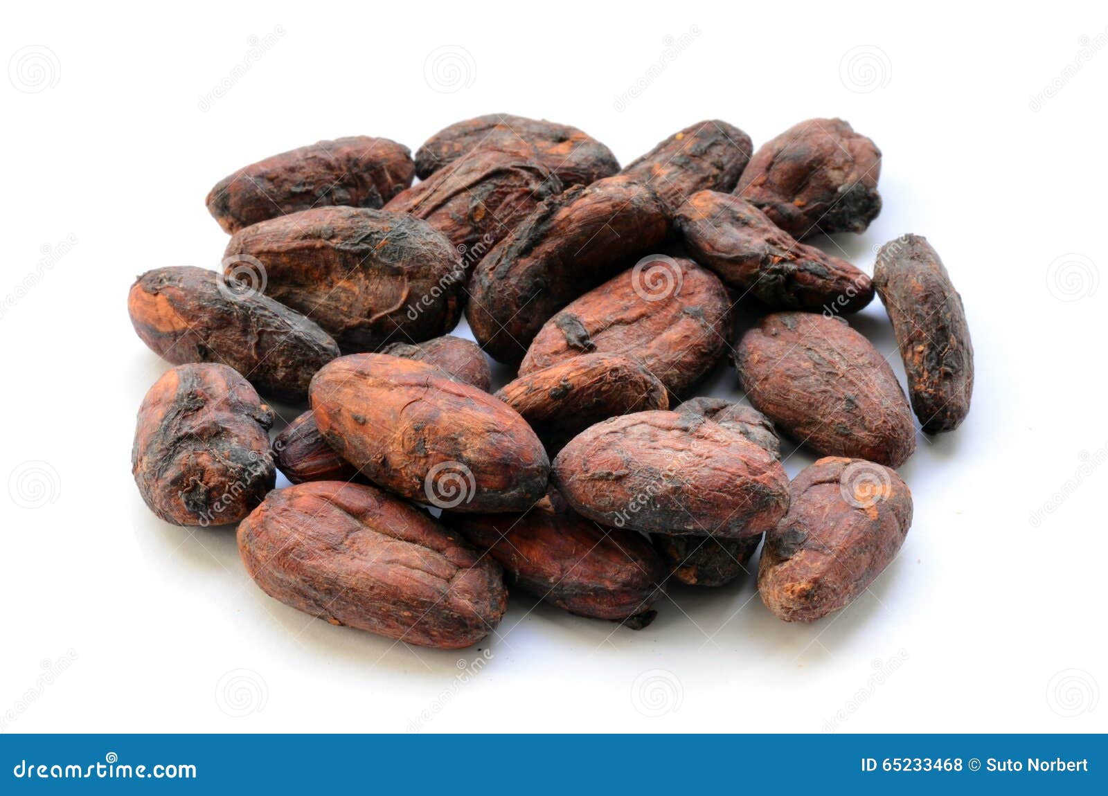 Raw cocoa beans stock photo. Image of chocolate, cacao - 65233468