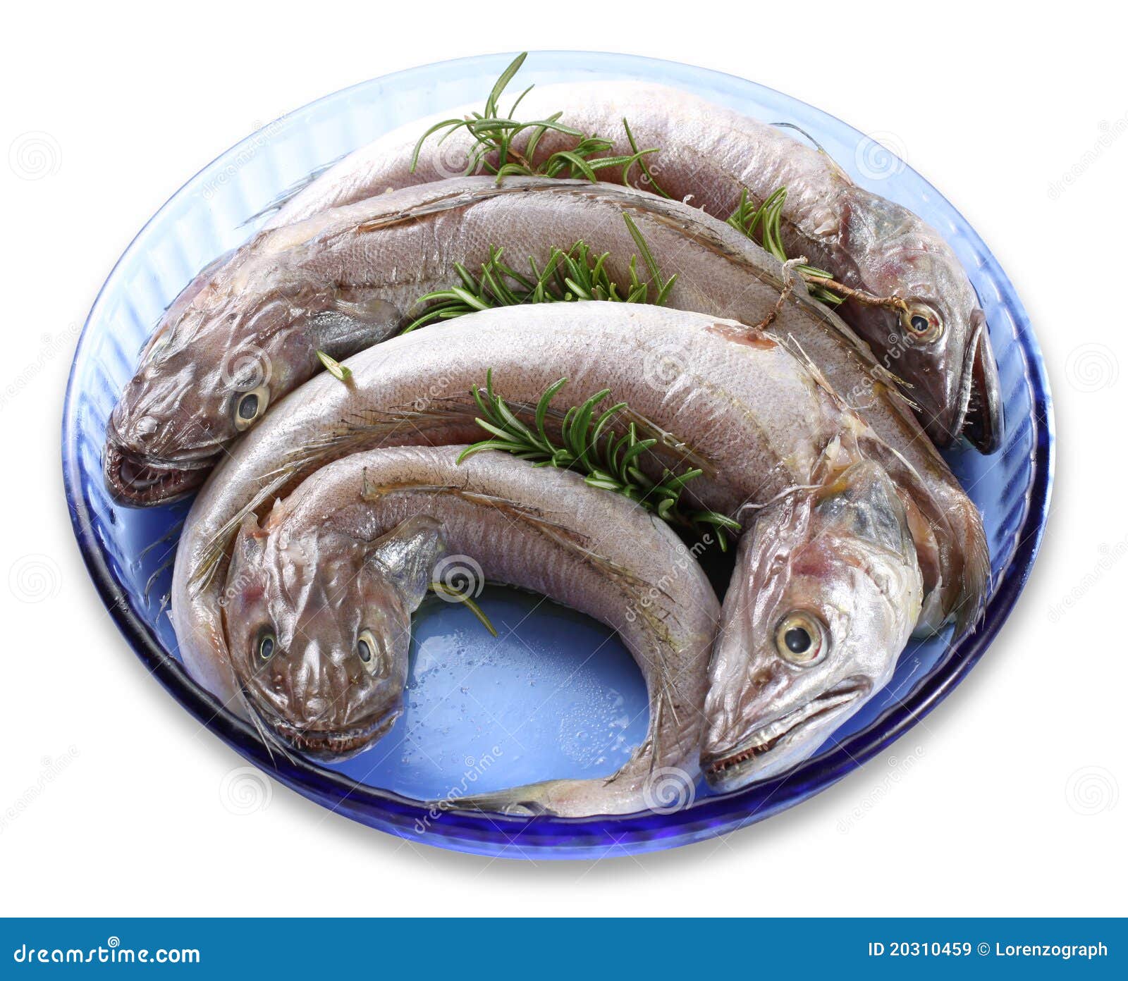 Raw Cod stock image. Image of baked, blue, cuisine, natural - 20310459