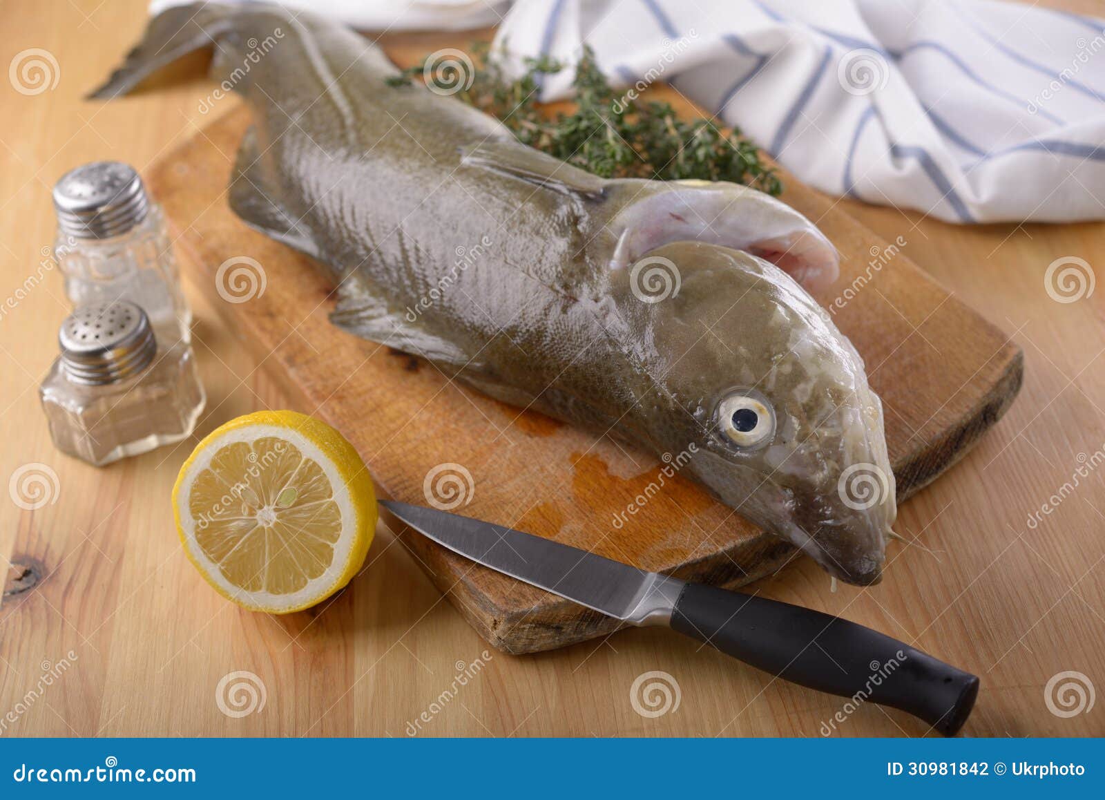 Raw cod stock photo. Image of horizontal, green, closeup - 30981842