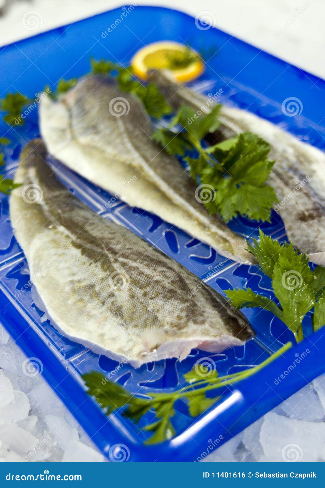 Raw cod fillet stock photo. Image of orange, meat, cods - 11401616