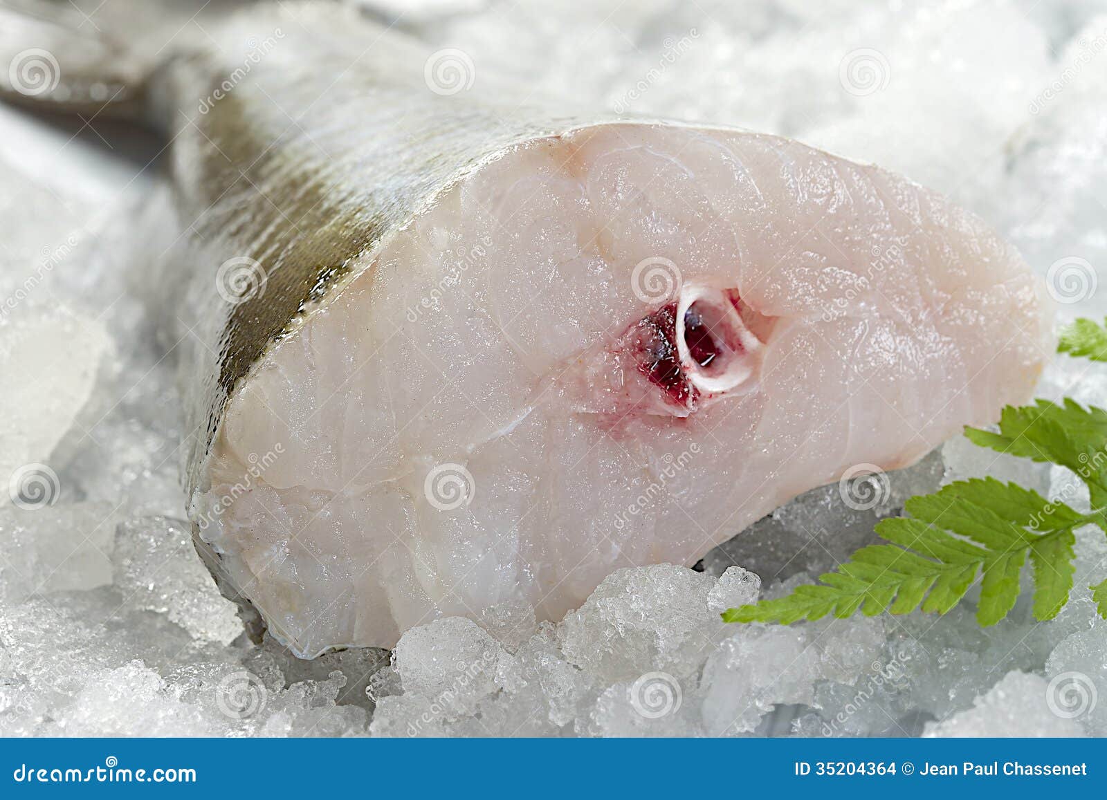 Raw cod fish fillets stock photo. Image of perspective - 35204364