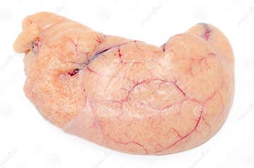 Raw cod roe close up stock photo. Image of seafood, japanese - 30412986