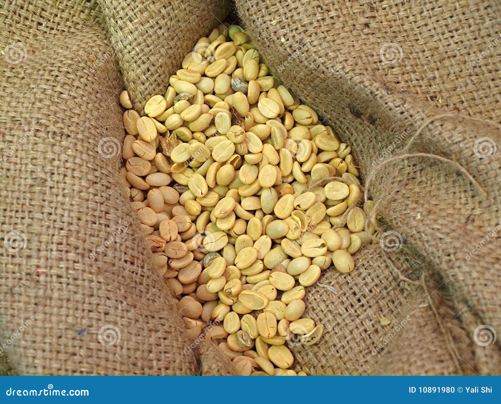 Raw Coffee stock photo. Image of rough, sack, yellow - 10891980