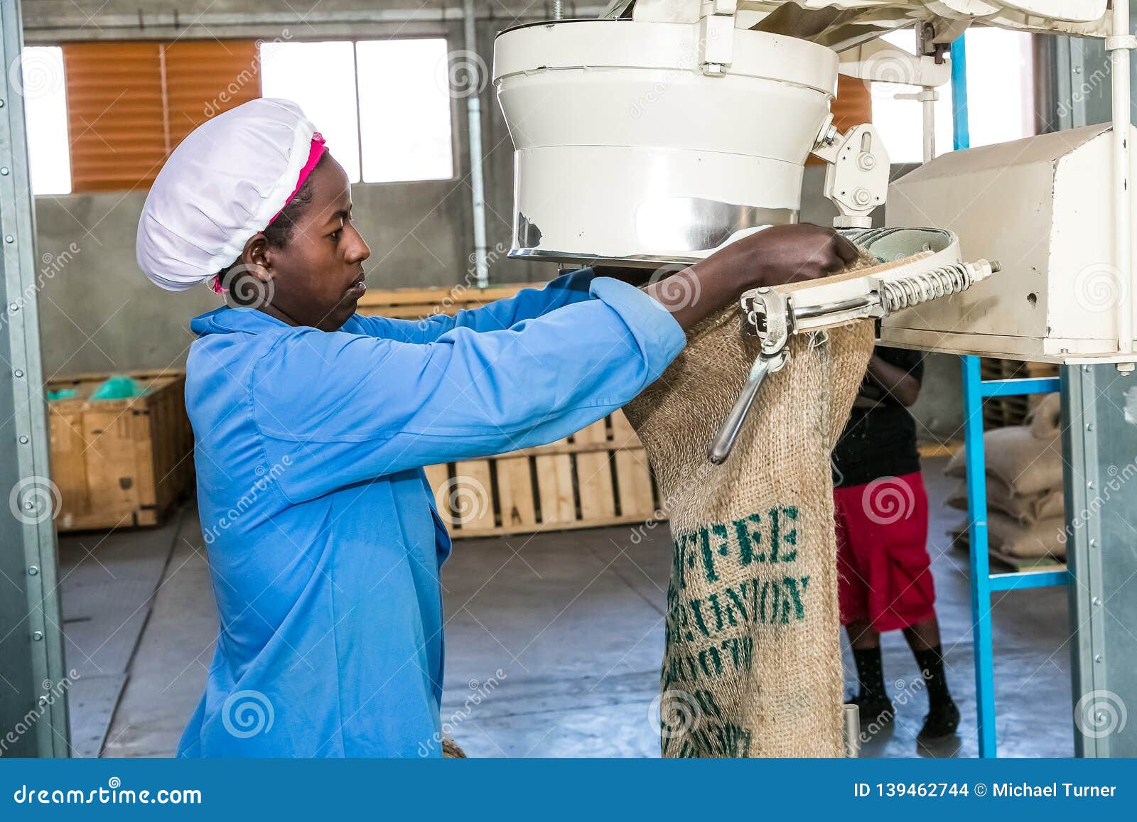 Raw Coffee Bean Sorting and Processing in a Factory Editorial Stock ...