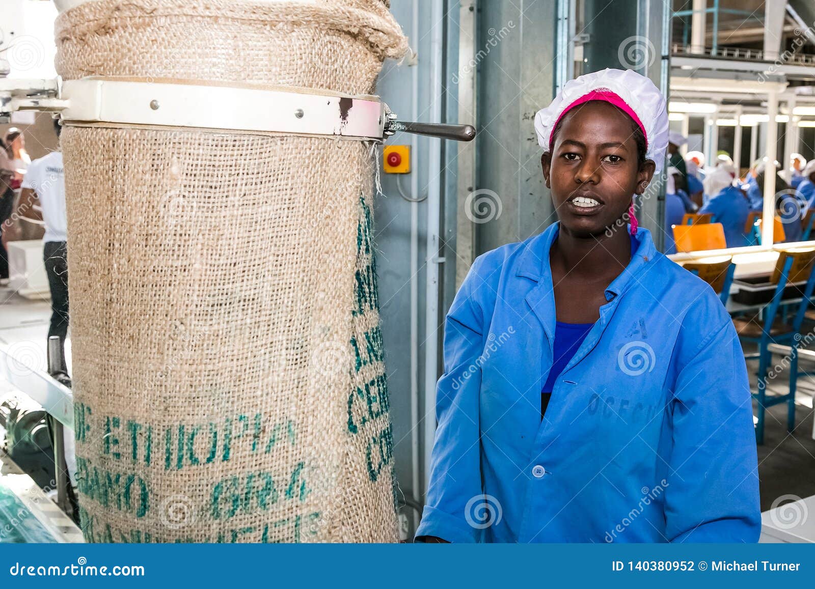 Raw Coffee Bean Sorting and Processing in a Factory Editorial ...