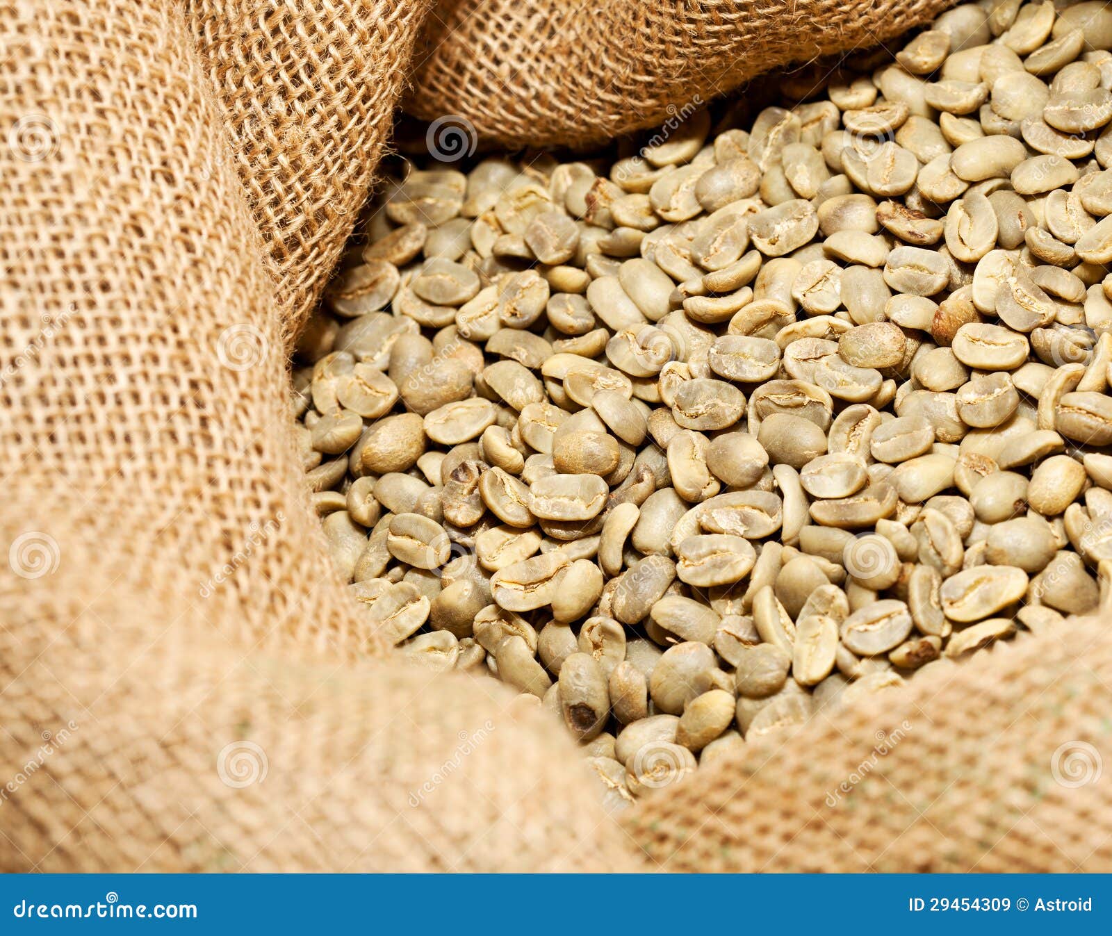 Raw coffee beans stock image. Image of color, copyspace - 29454309 Raw coffee beans stock image. Image of color, copyspace - 29454309
