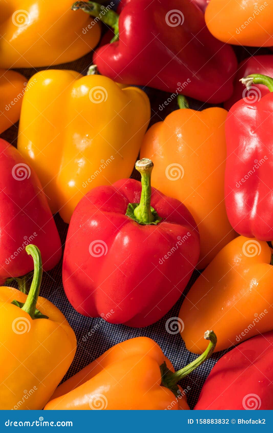 Raw Colorful Mini Bell Peppers Stock Photo - Image of organic, mini ...