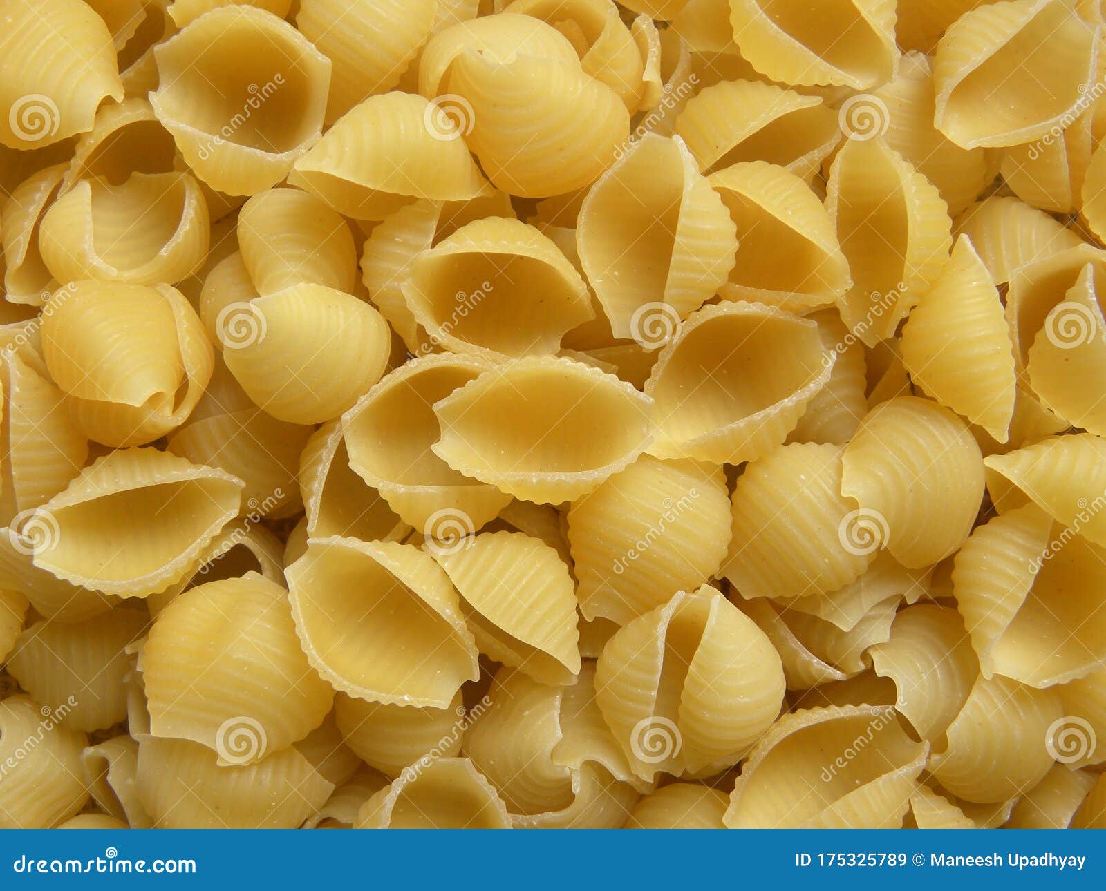 Raw Conchiglie rigate stock image. Image of carbohydrate - 175325789