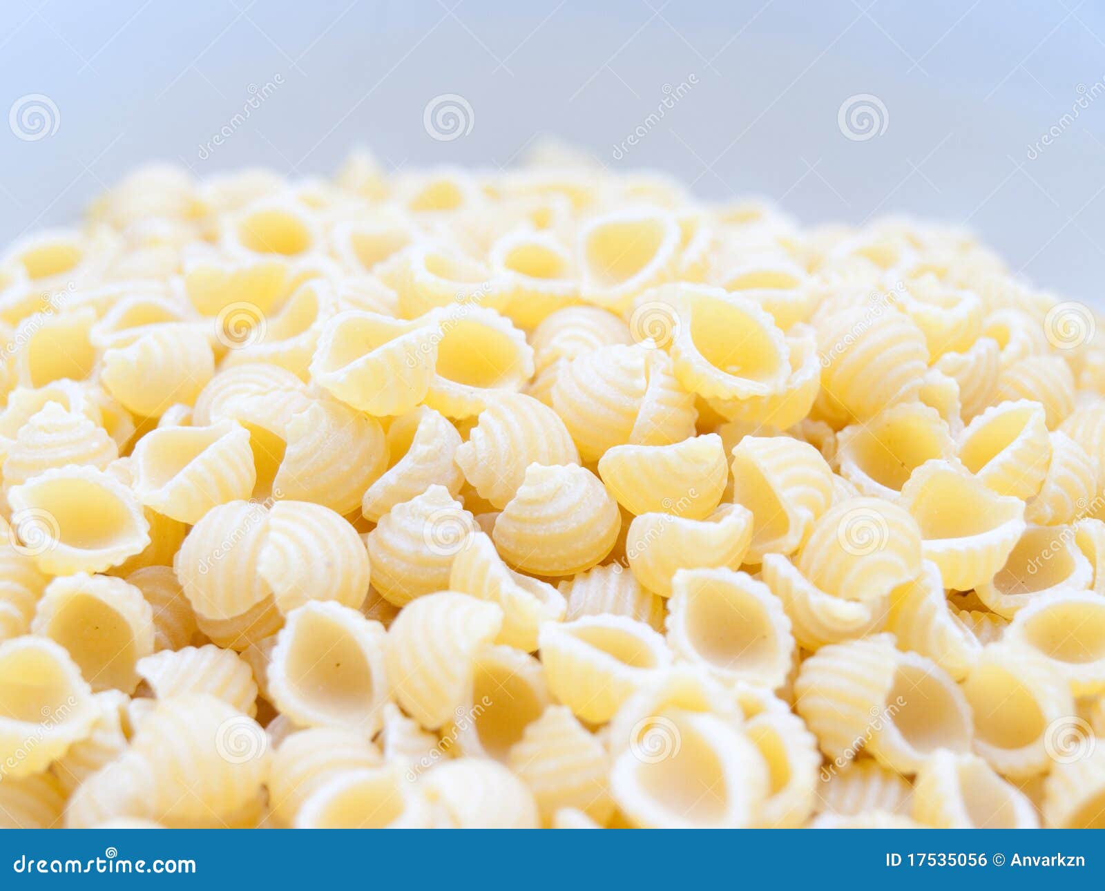 Raw Conchigliette. Close-up Stock Photo - Image of food, macro: 17535056