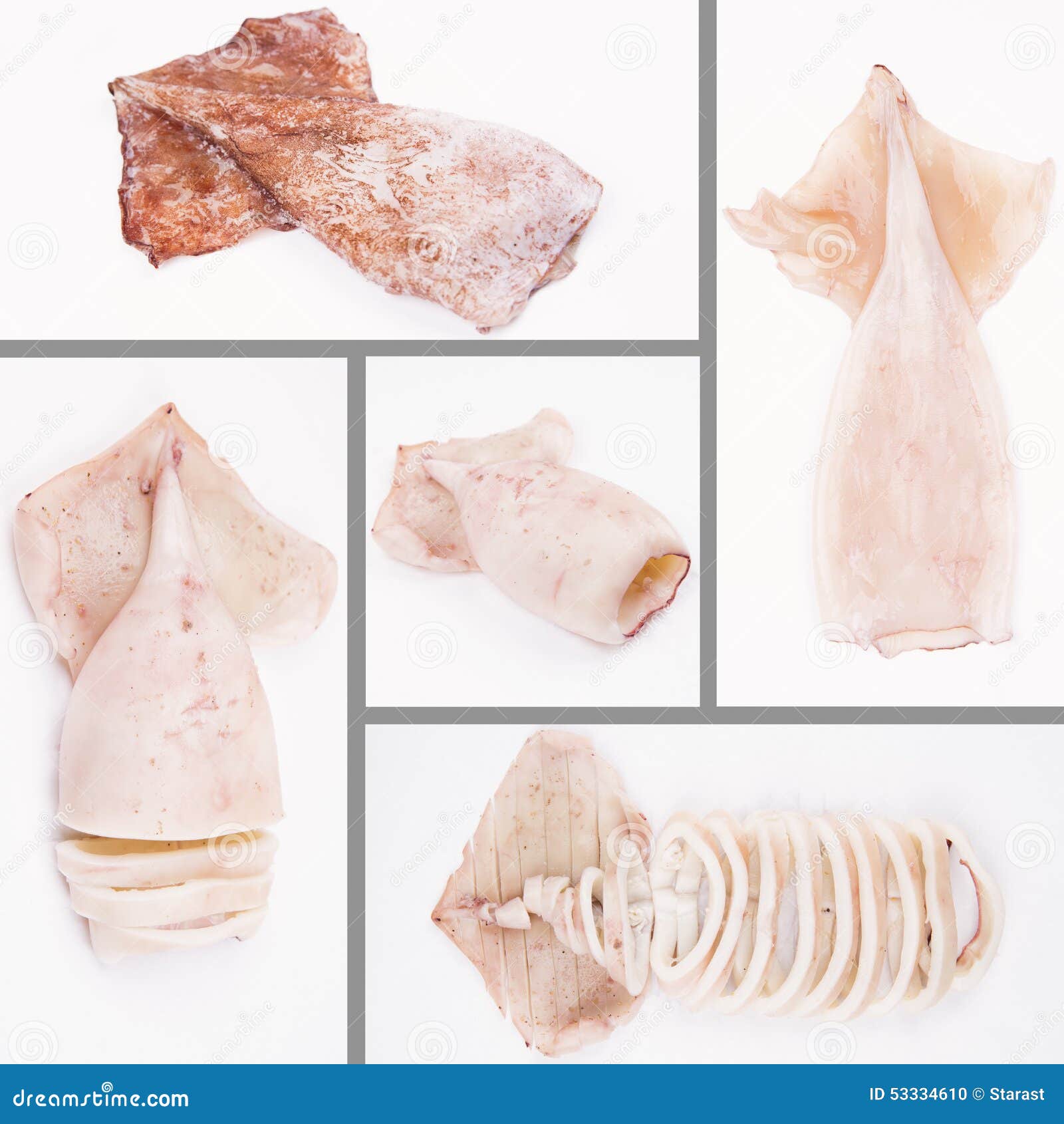 Raw and cooked squid stock photo. Image of kitchen, cooking - 53334610