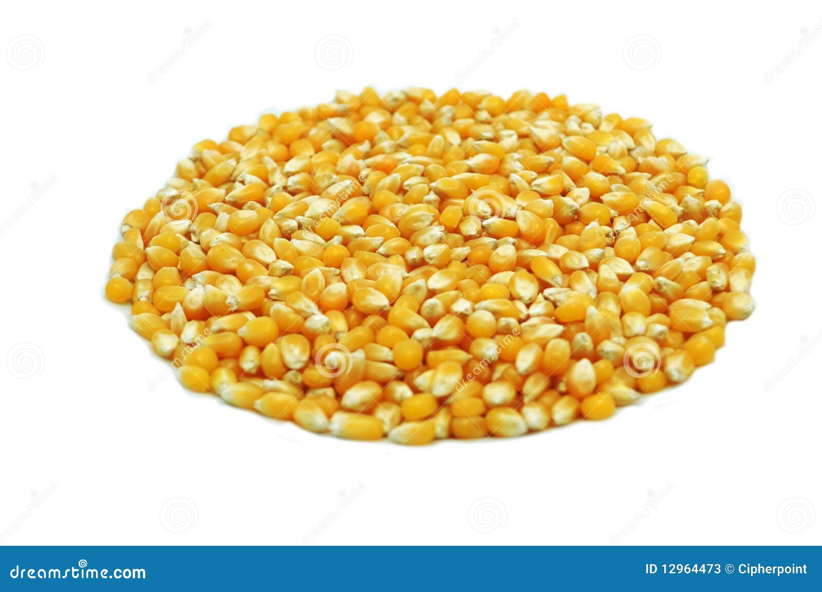 Raw Corn stock image. Image of natural, black, healthy - 12964473