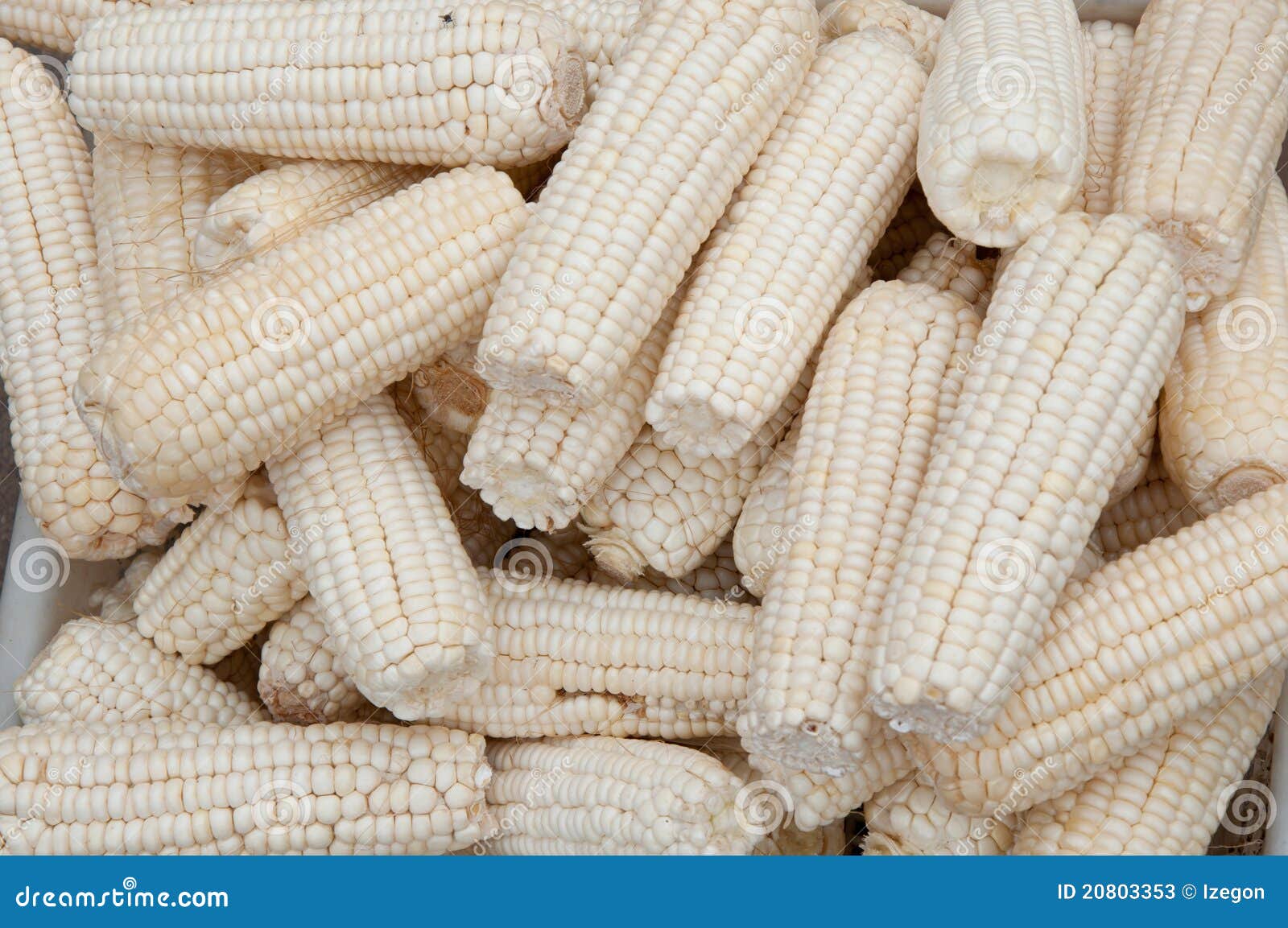 Raw corn stock image. Image of uncooked, meal, veggies - 20803353