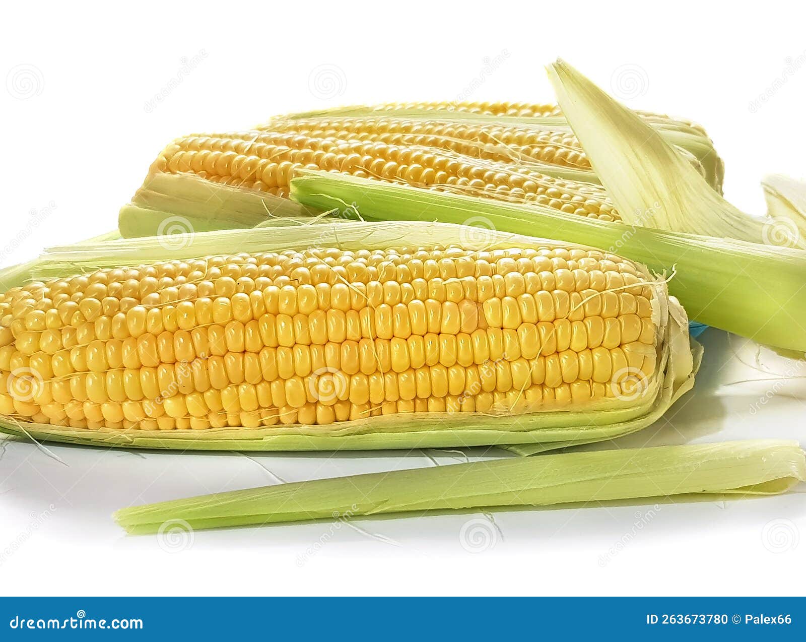 Raw Corn Cobs on a White Background Stock Photo - Image of seed ...