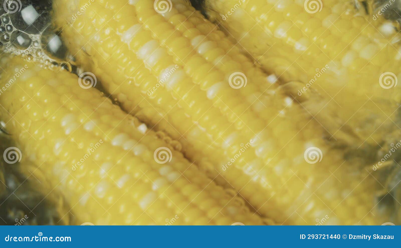 Raw Corn is Cooked in Boiling Water. Stock Footage - Video of yellow ...
