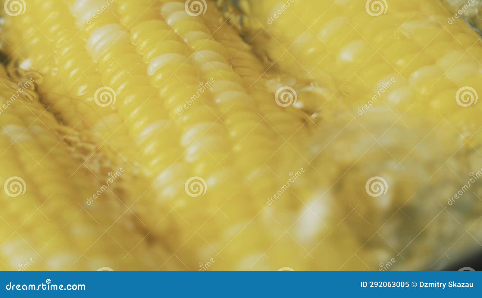 Raw Corn is Cooked in Boiling Water. Stock Video - Video of yellow ...