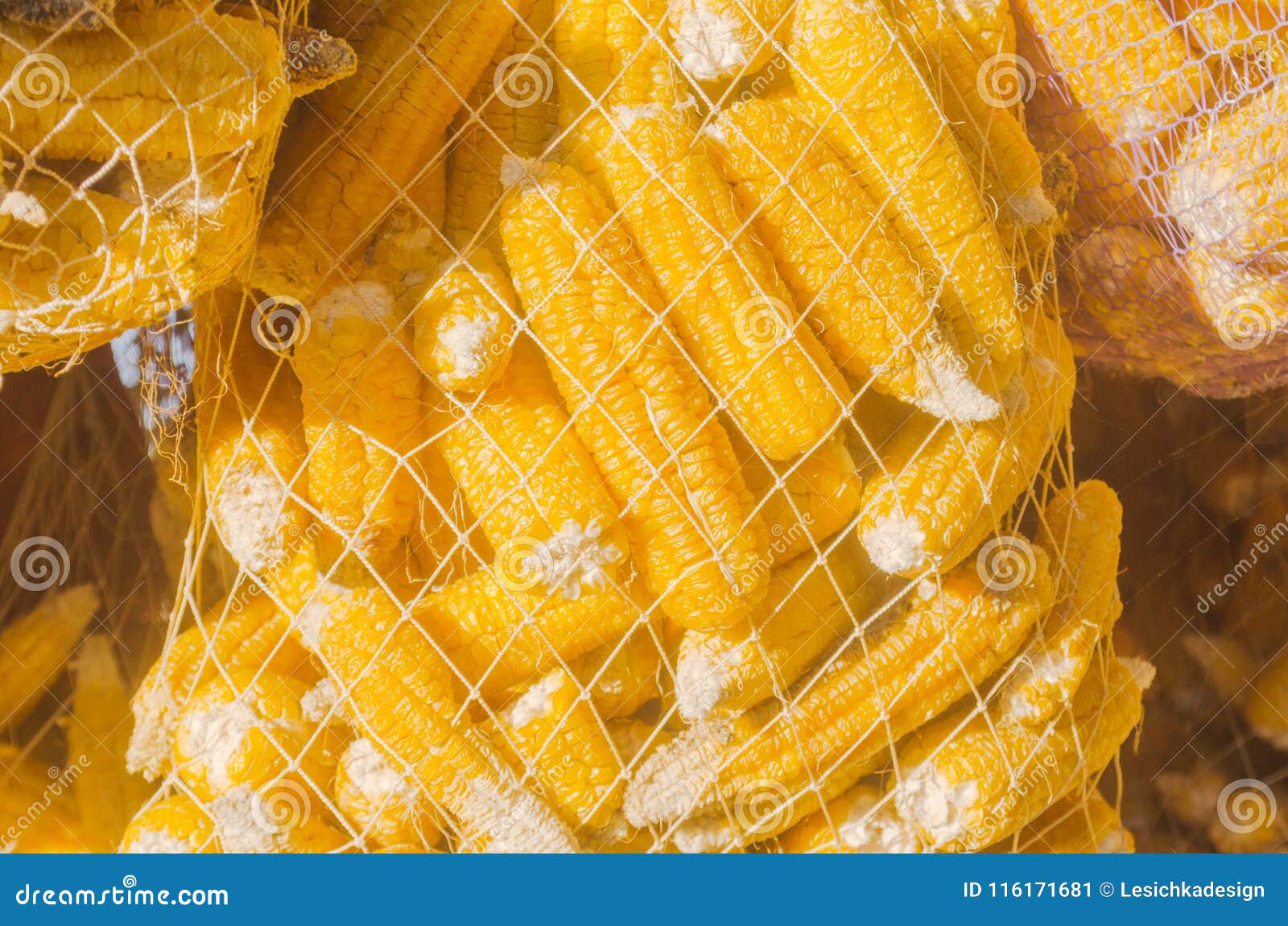 Raw corn seed in sack stock image. Image of organic - 116171681