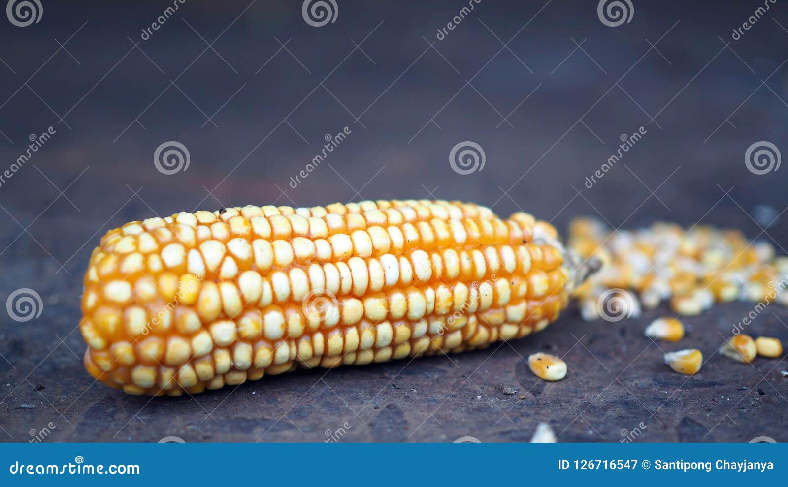 Raw Corn Seeds or Corn Kernels are the Fruits of Corn. Grains of Ripe ...