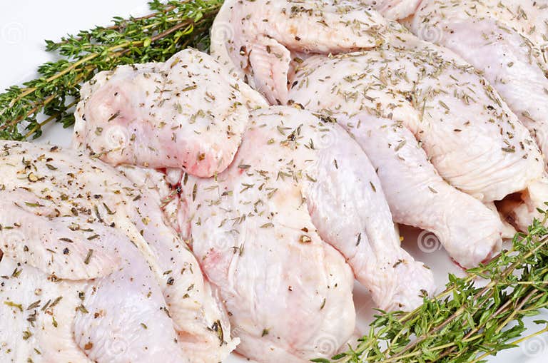 Raw Cornish Game Hen on a White Plate Stock Image - Image of spice ...