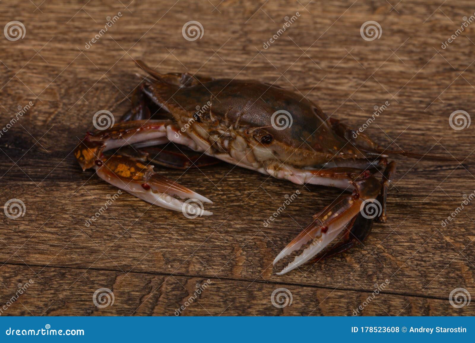 Raw Crab - Ready for Cooking Stock Photo - Image of fresh, mangrove ...
