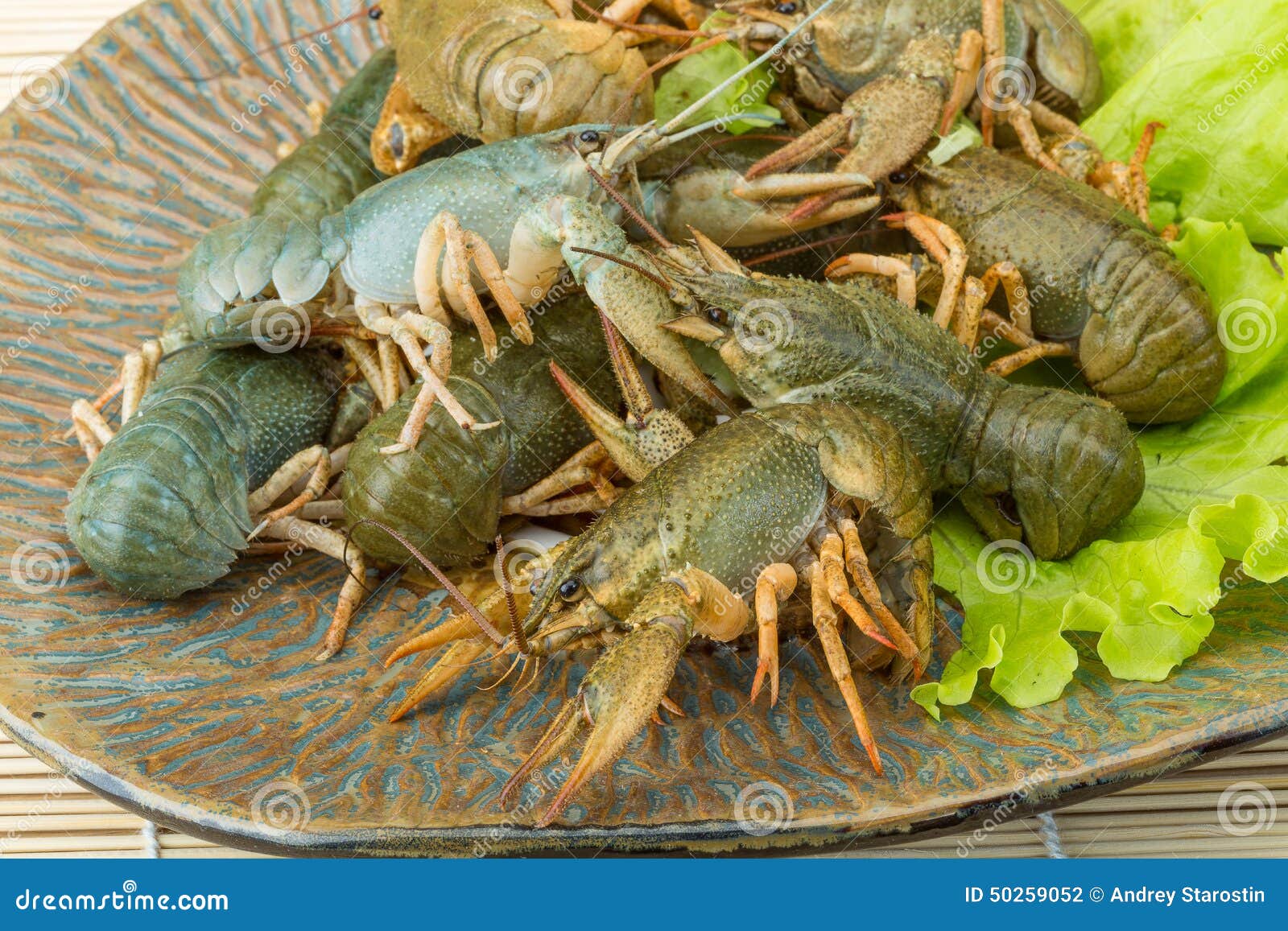 Raw Crayfish stock photo. Image of crawfish, pacifastacus - 50259052