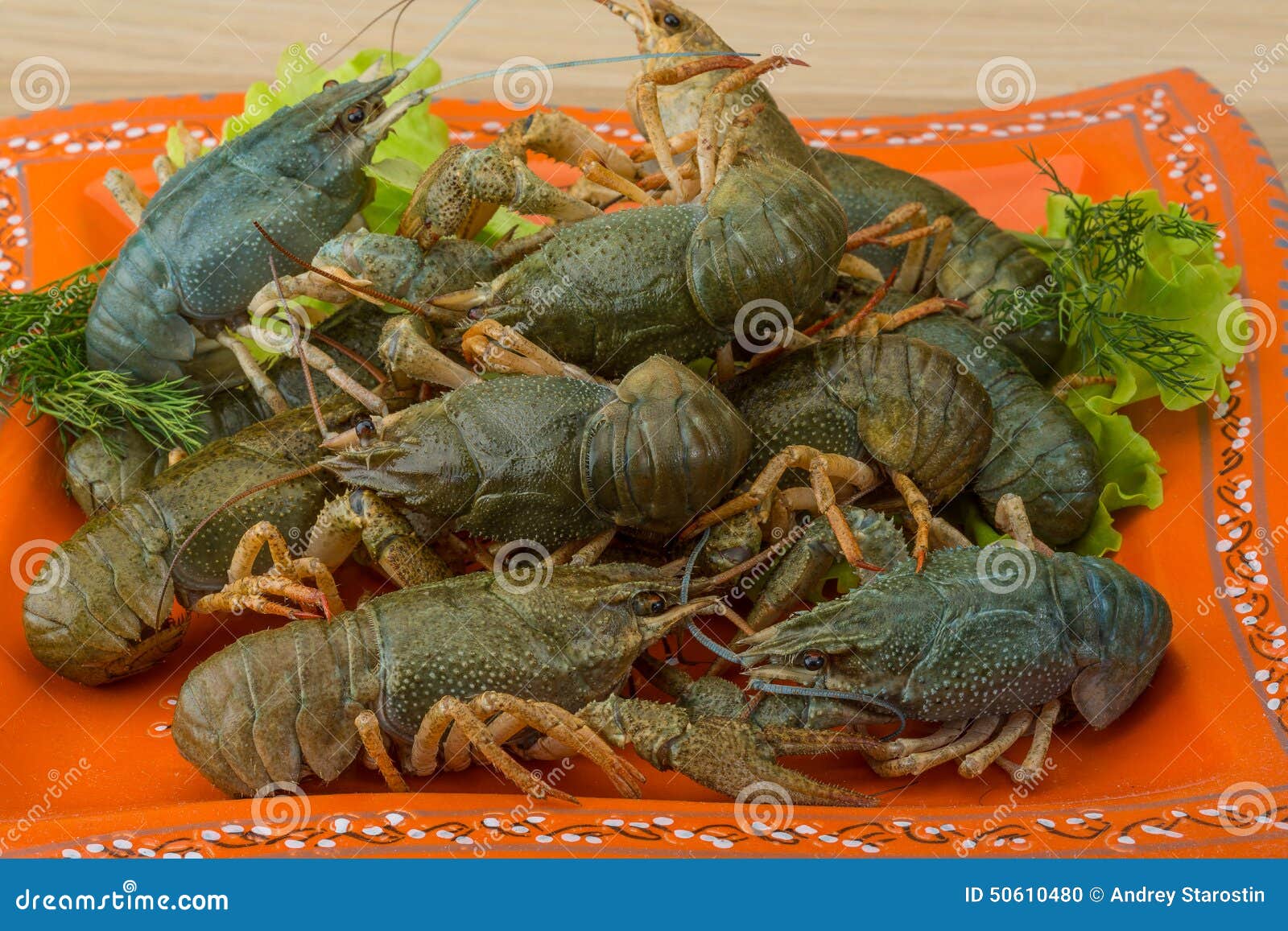 Raw Crayfish stock photo. Image of lobster, closeup, signal - 50610480