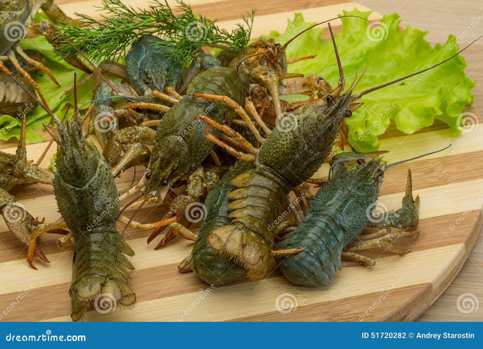 Raw Crayfish stock photo. Image of white, river, diet - 51720282