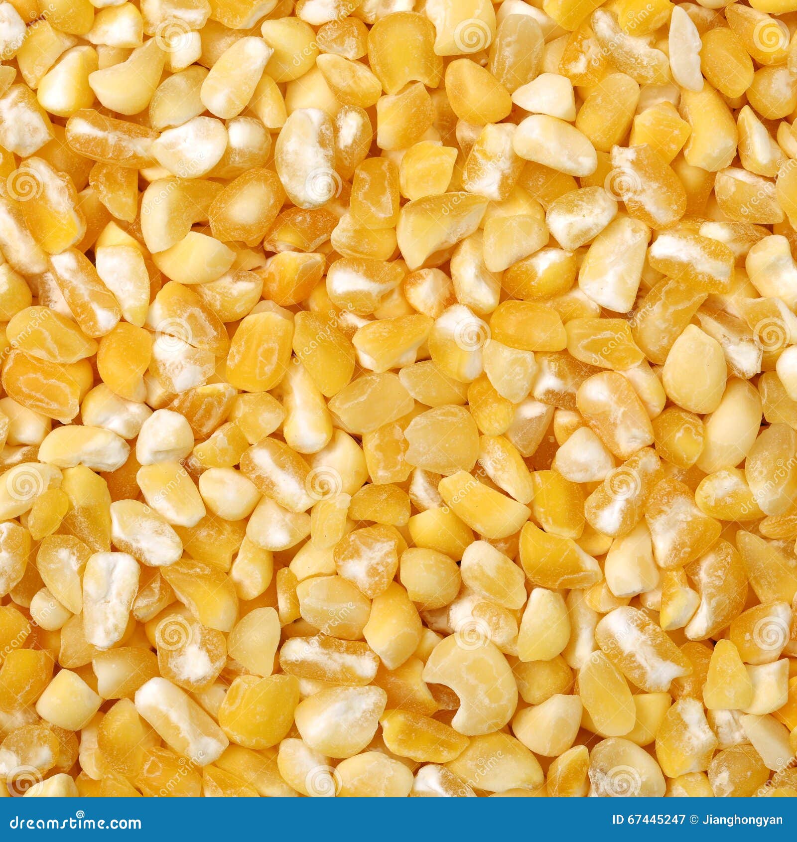 Raw crushed corn groats stock image. Image of cereal - 67445247