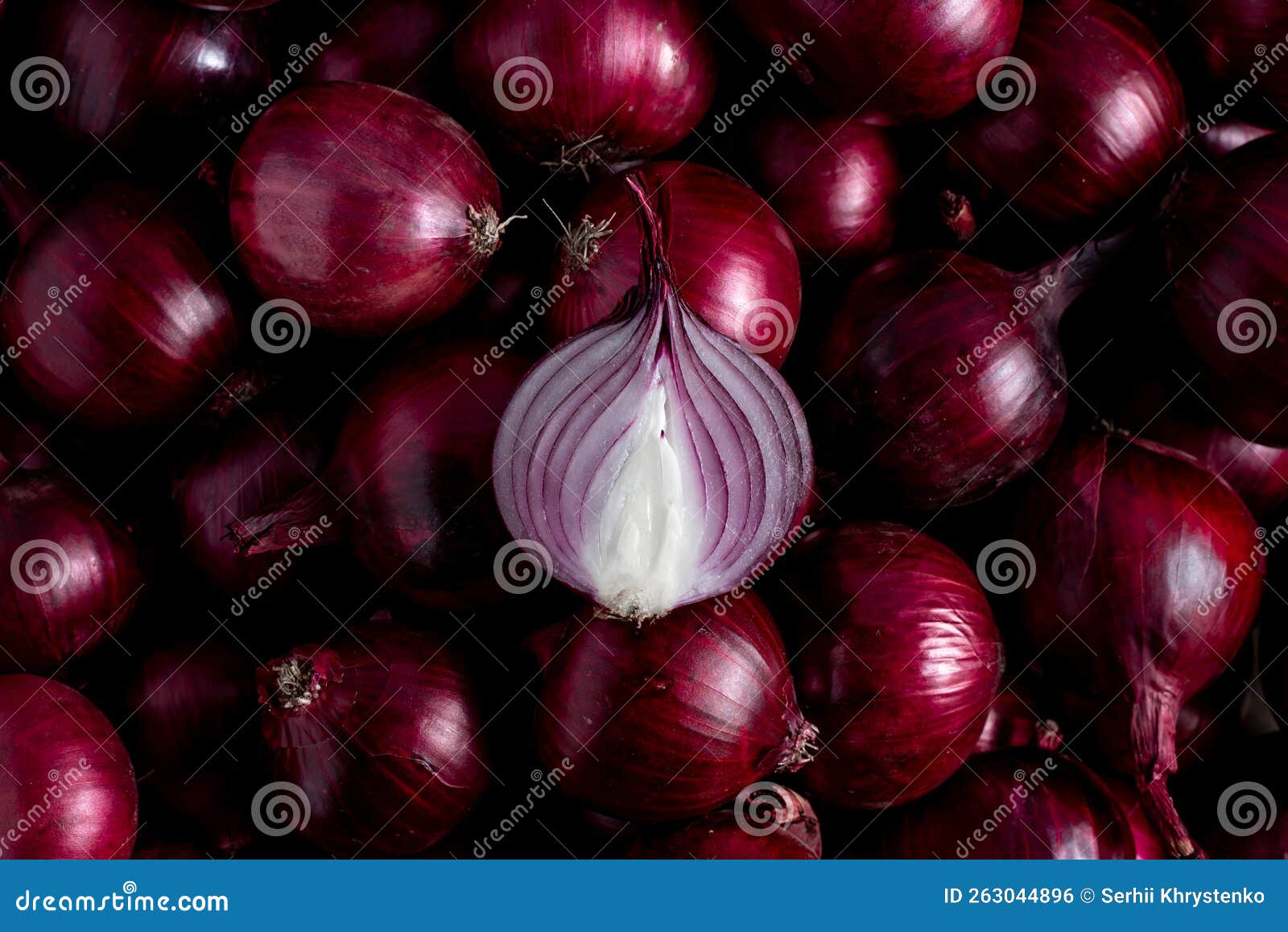 Raw Cut Onion on a Pile of Blue Onions Stock Photo - Image of lavender ...